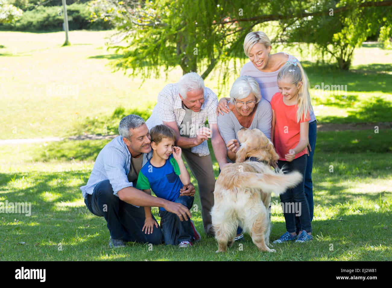 Happy family playing with their dog Stock Photo - Alamy