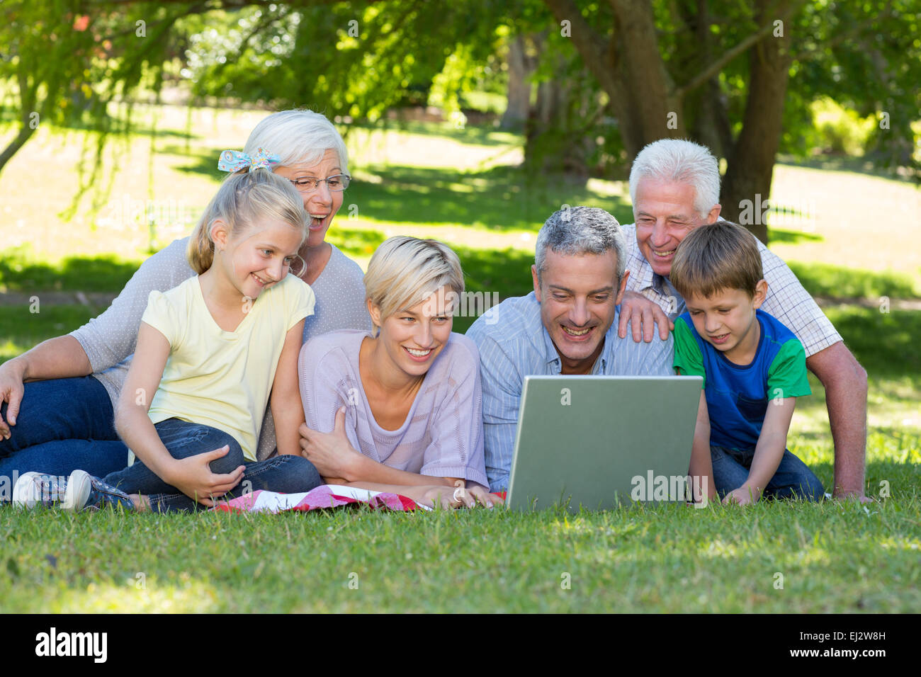 Happy family using laptop in the park Stock Photo - Alamy