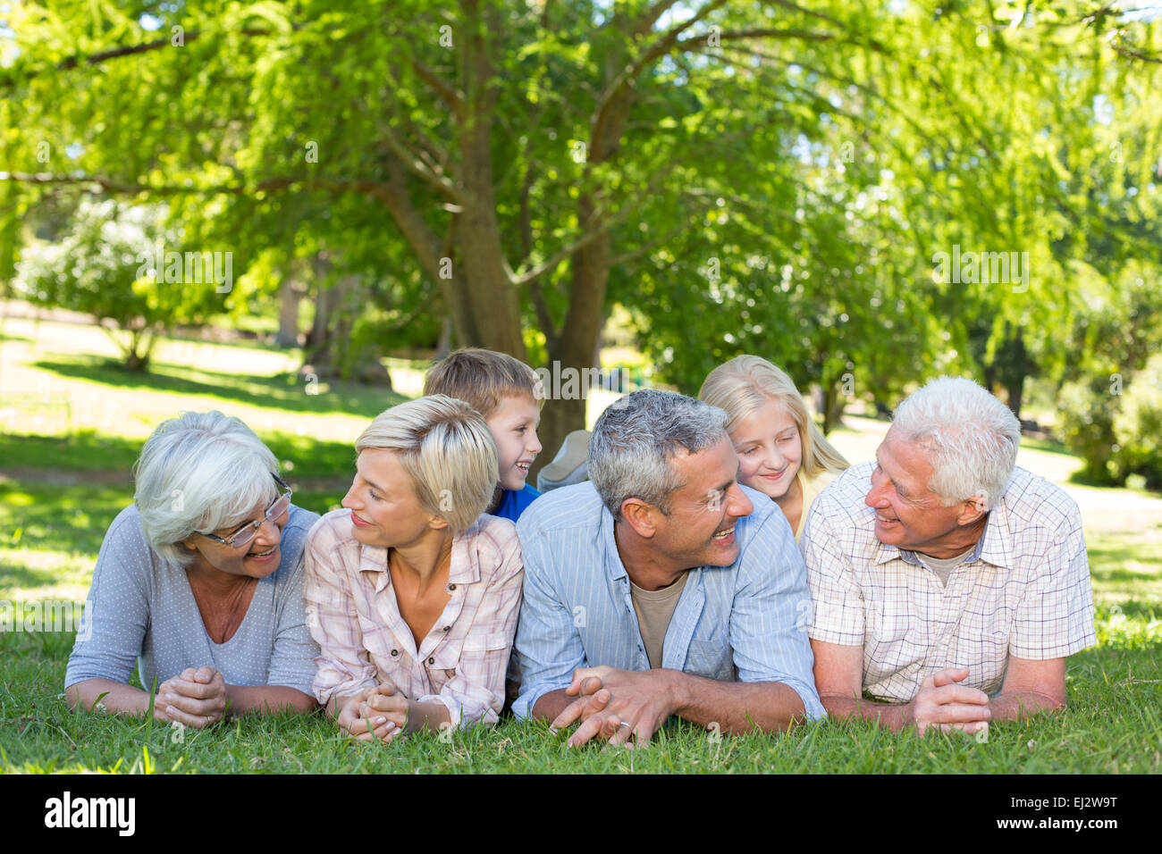 Happy family talking in the park Stock Photo - Alamy