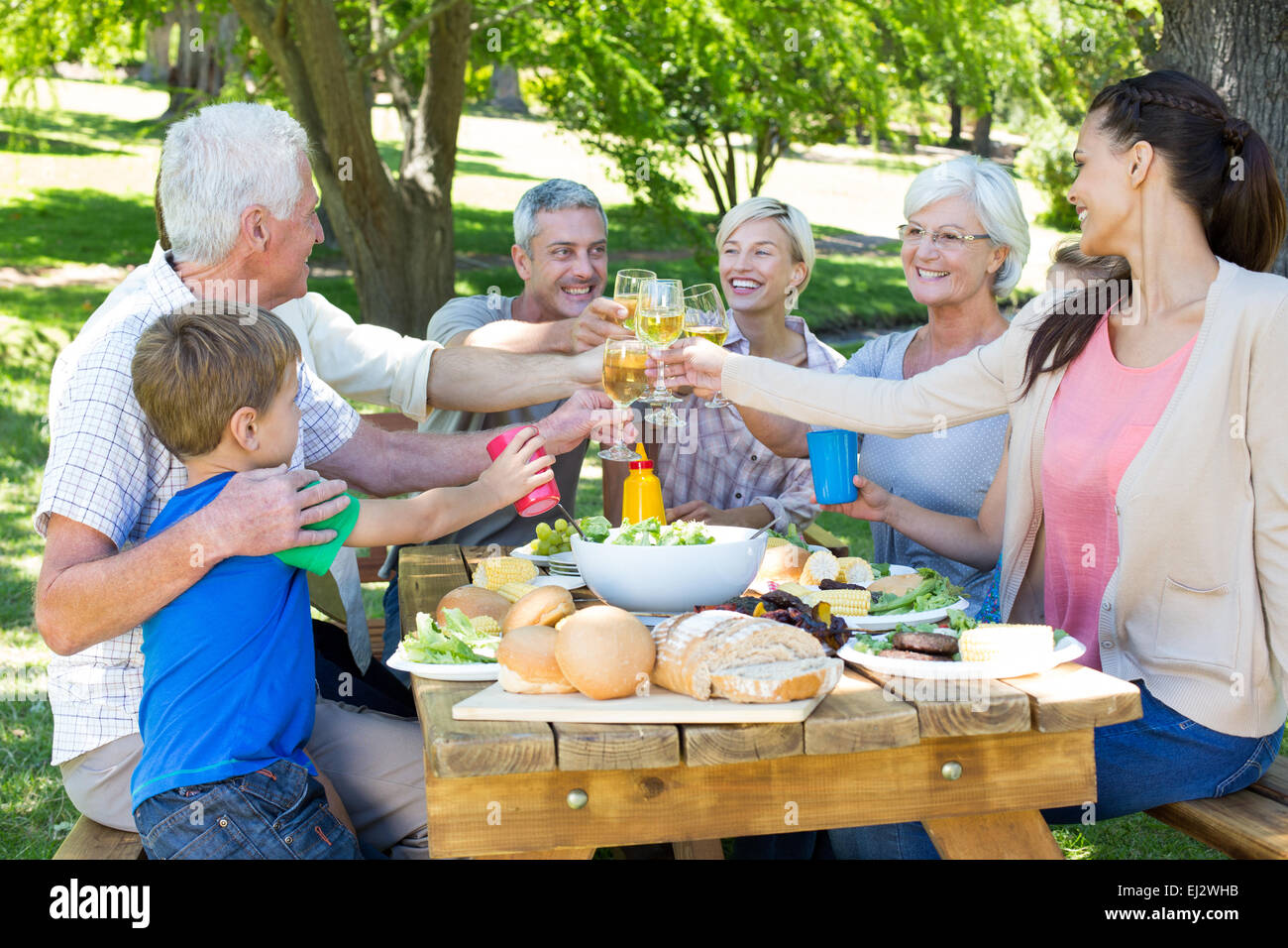 Happy family toasting in the park Stock Photo - Alamy