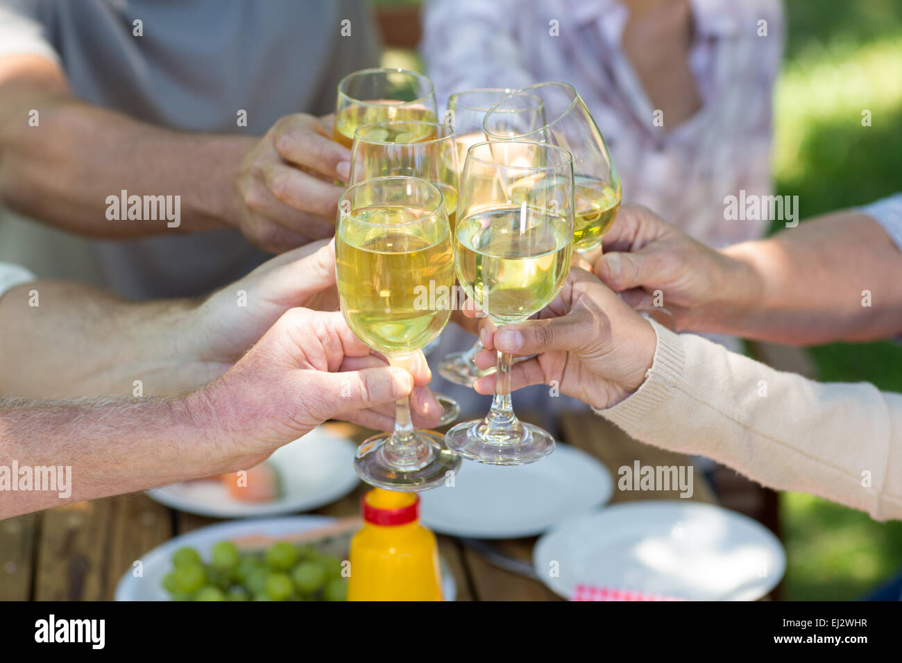Happy family toasting in the park Stock Photo - Alamy