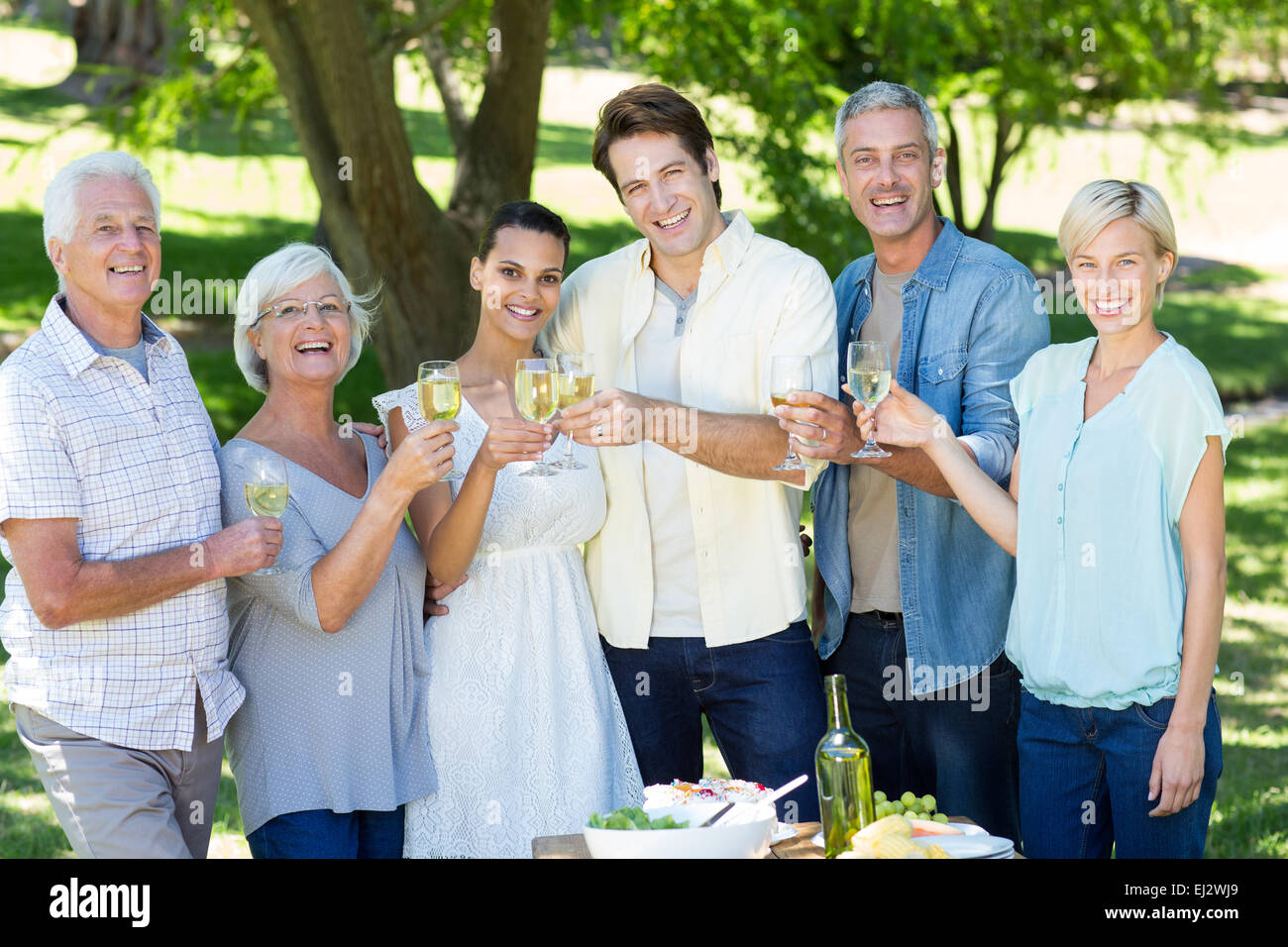 Happy family toasting in the park Stock Photo - Alamy