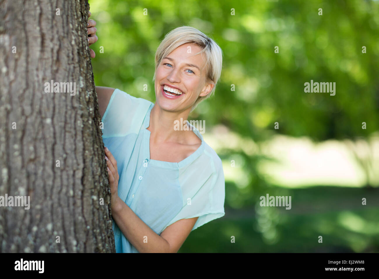 Sunshine behind tree hi-res stock photography and images - Alamy