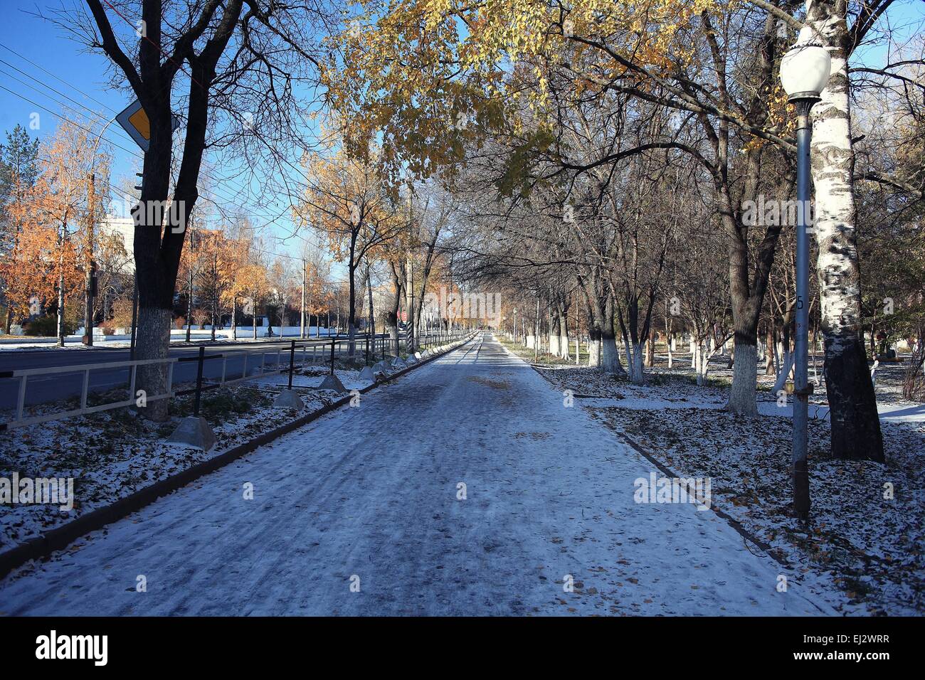 landscape park autumn trees snow forest Stock Photo - Alamy