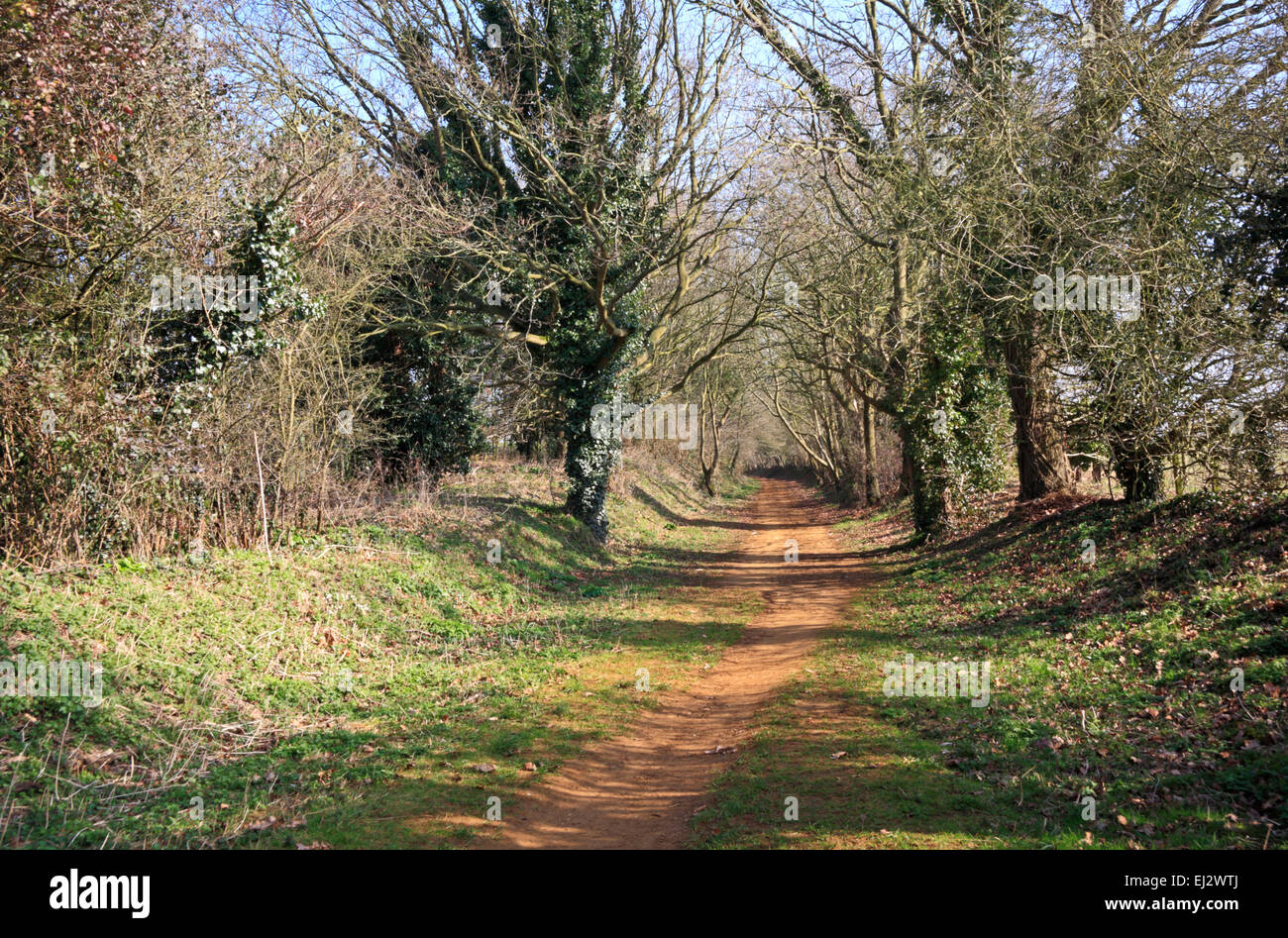 A view of the Marriott's Way long distance path at Attlebridge, Norfolk ...