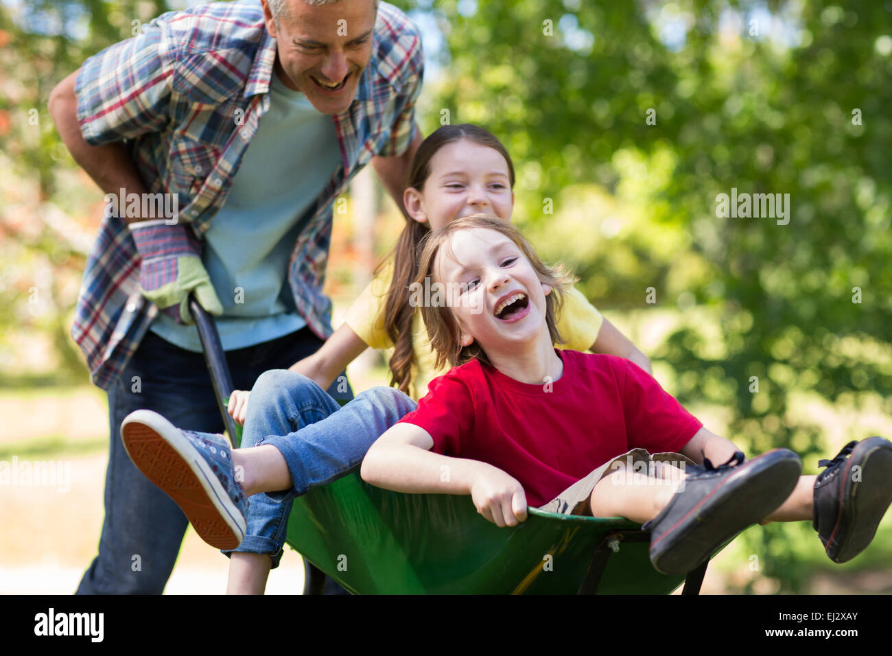 Happy father and his children playing with a wheelbarrow Stock Photo ...