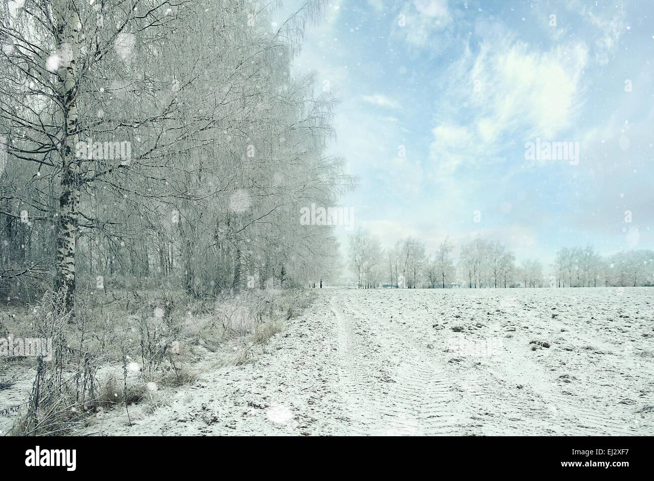 winter landscape nature without people Stock Photo - Alamy