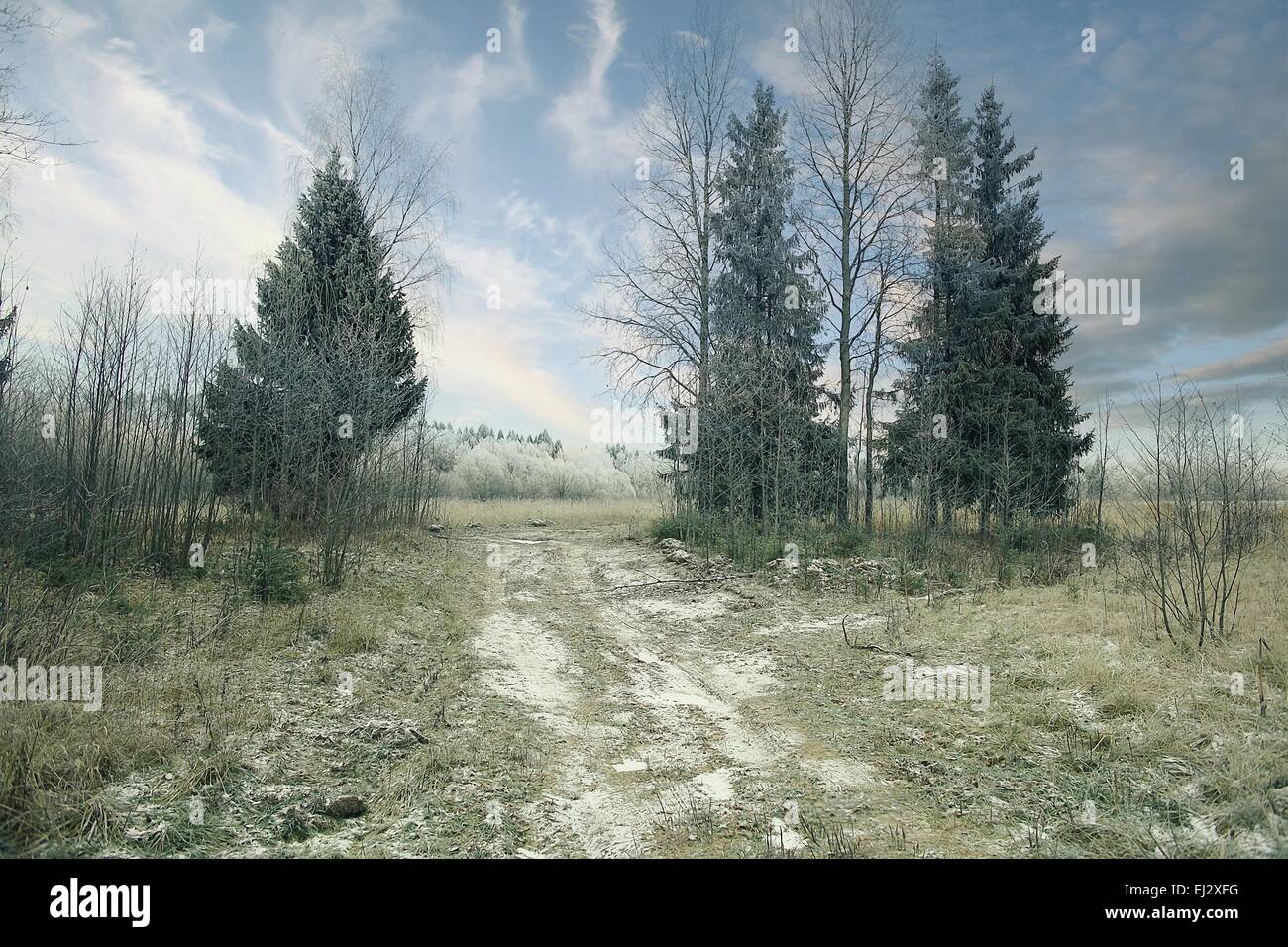 winter landscape nature without people Stock Photo - Alamy