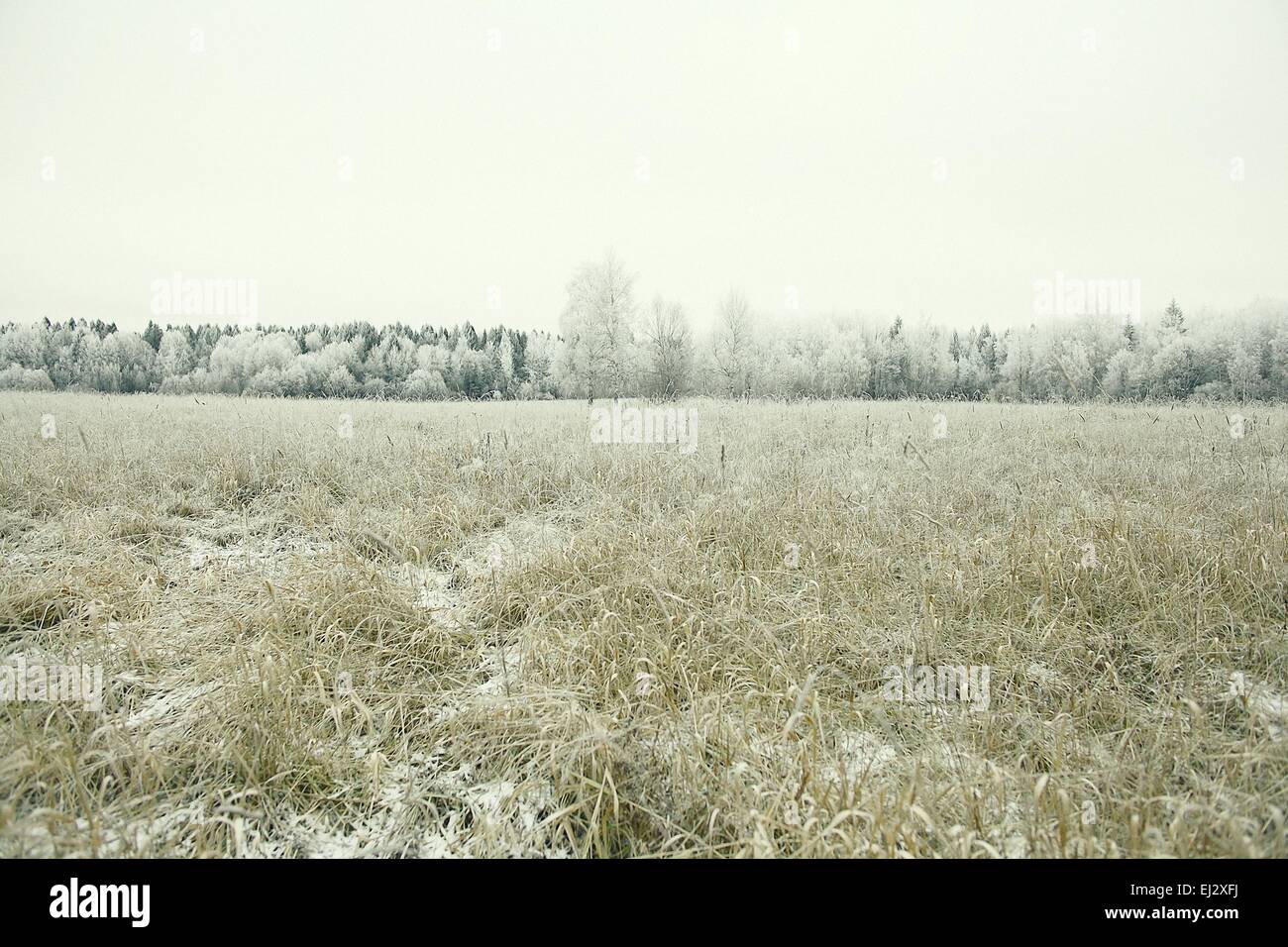 winter landscape nature without people Stock Photo - Alamy