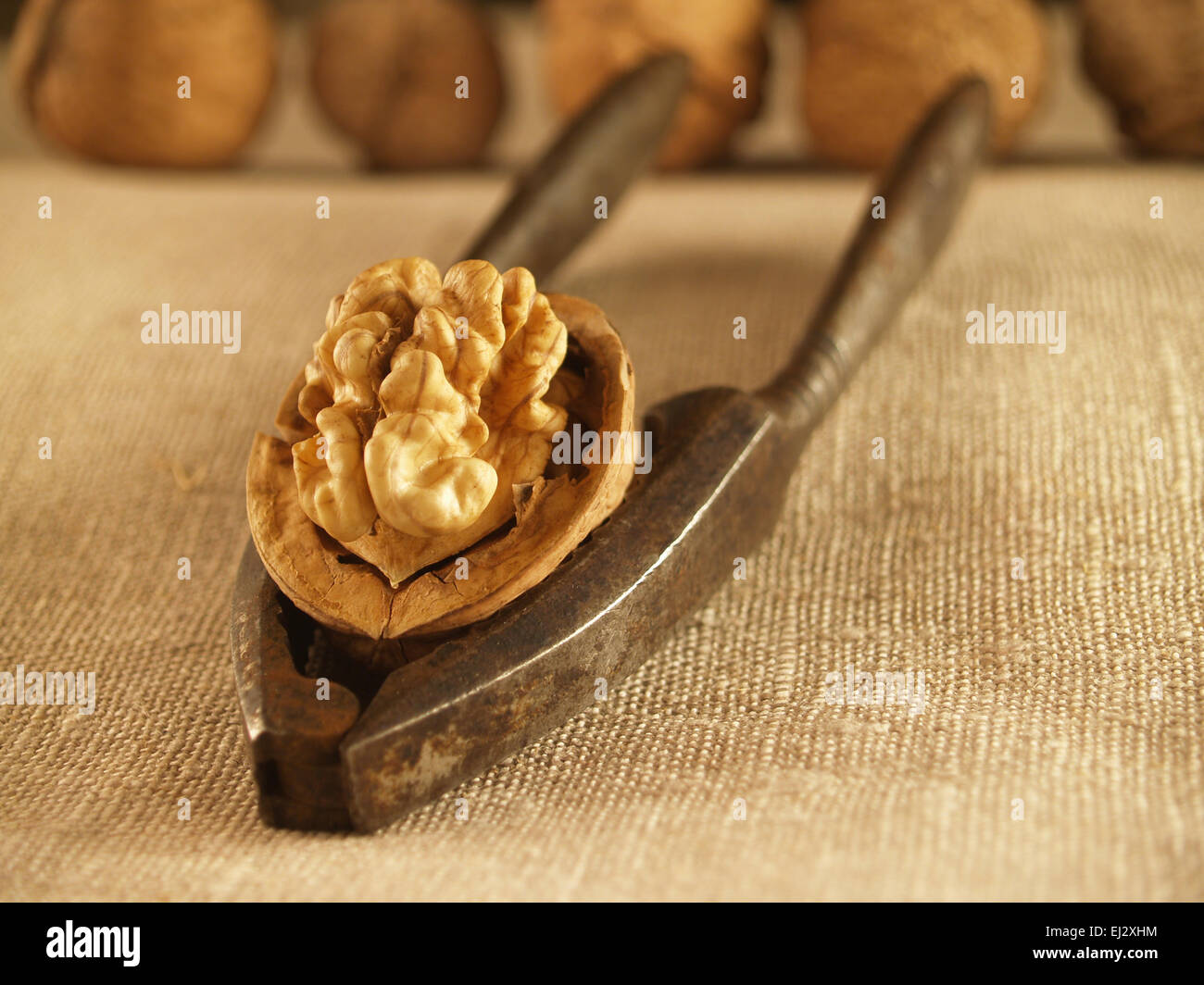 Walnut cracked and his fellows waiting Stock Photo - Alamy