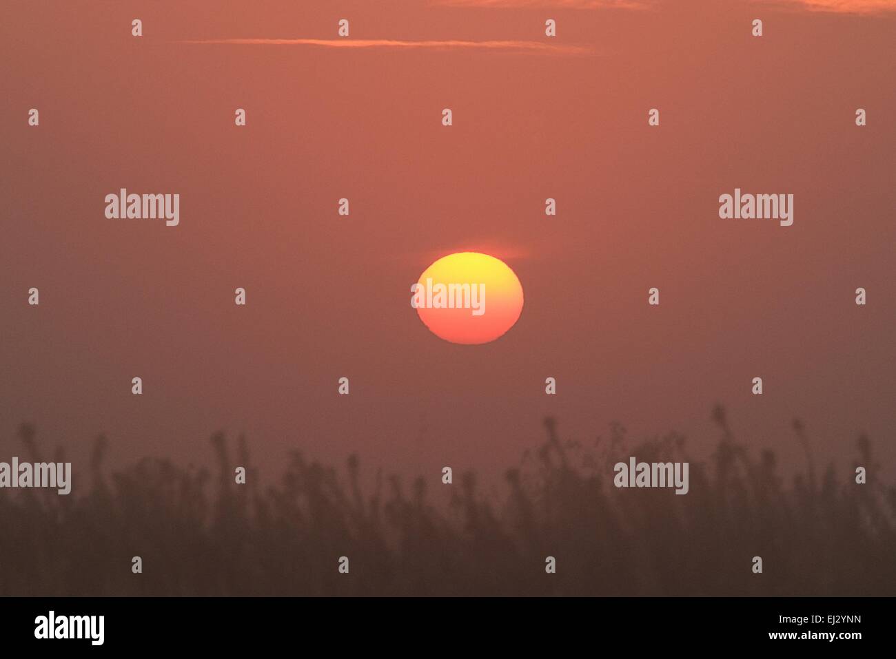 Morning texture hi-res stock photography and images - Alamy