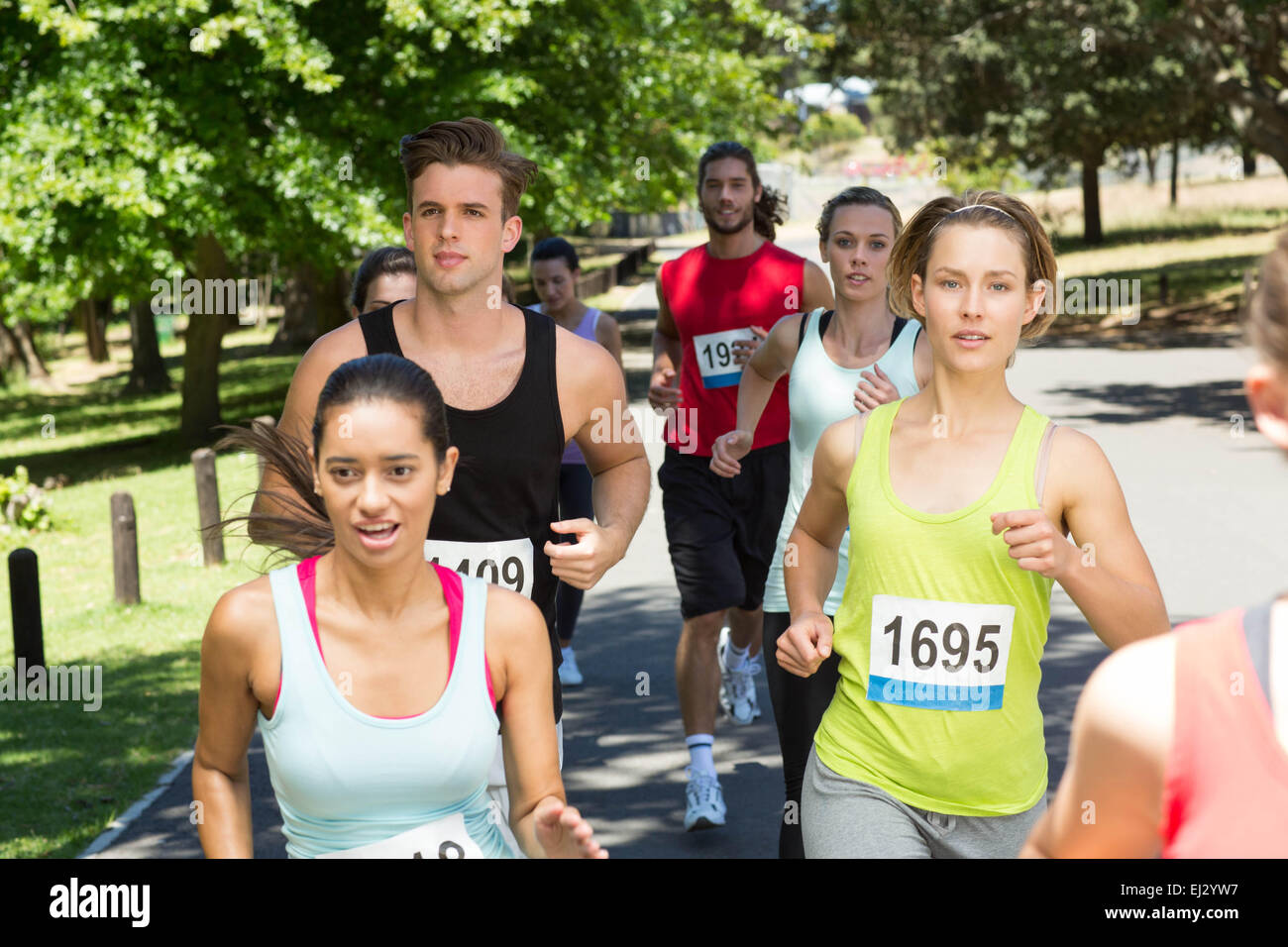 Fit people running race in park Stock Photo - Alamy