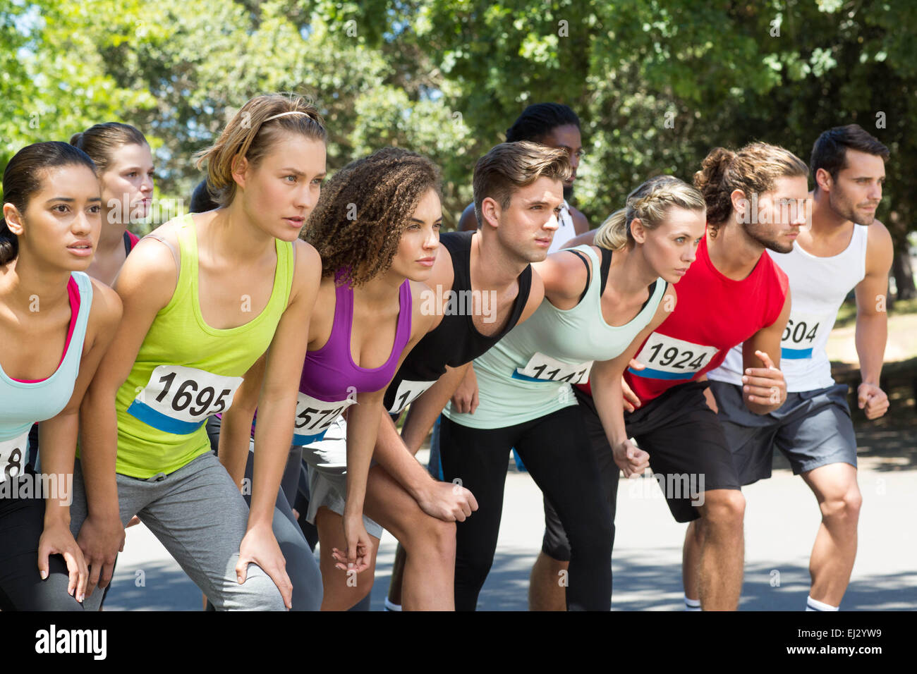 Fit people running race in park Stock Photo - Alamy