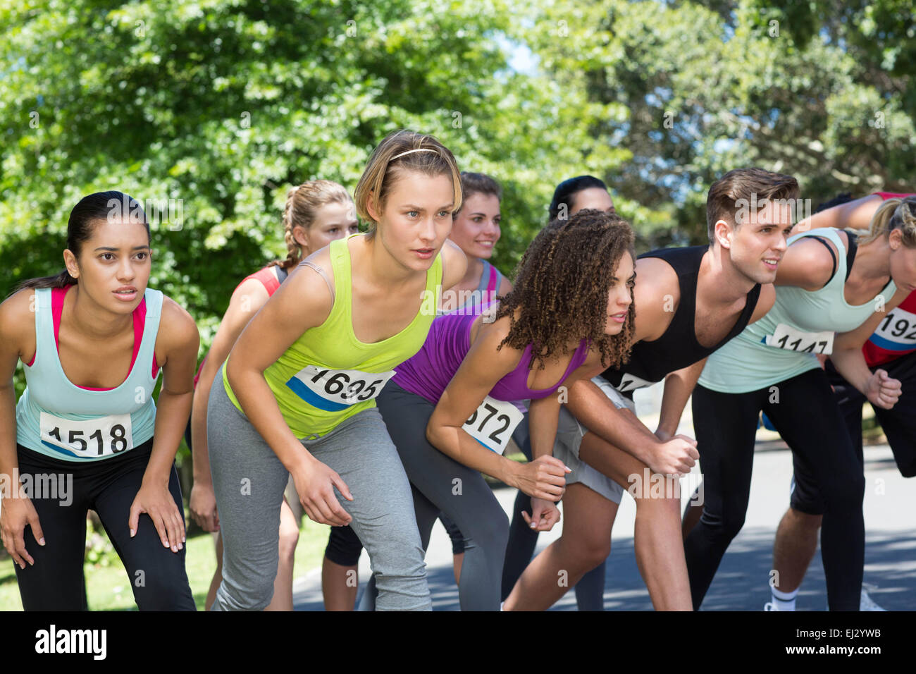 Fit people running race in park Stock Photo - Alamy