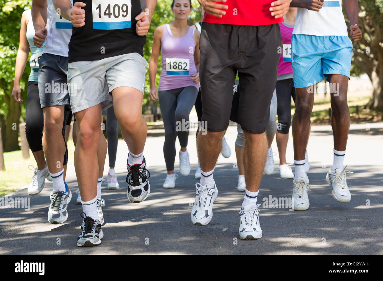 Fit people running race in park Stock Photo - Alamy
