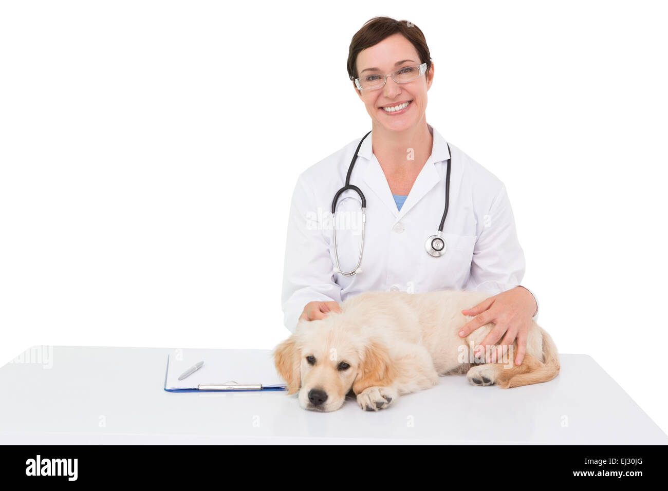 Smiling veterinarian examining a cute dog Stock Photo - Alamy