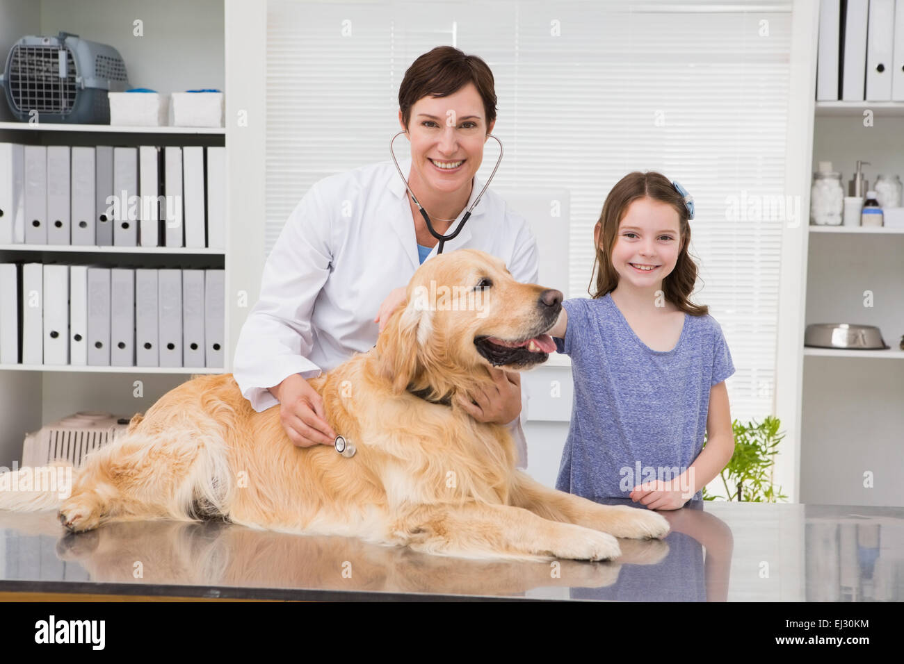 Smiling vet examining a dog with its owner Stock Photo - Alamy