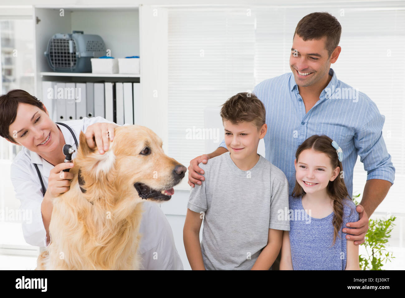 Smiling vet examining a dog with its owners Stock Photo - Alamy