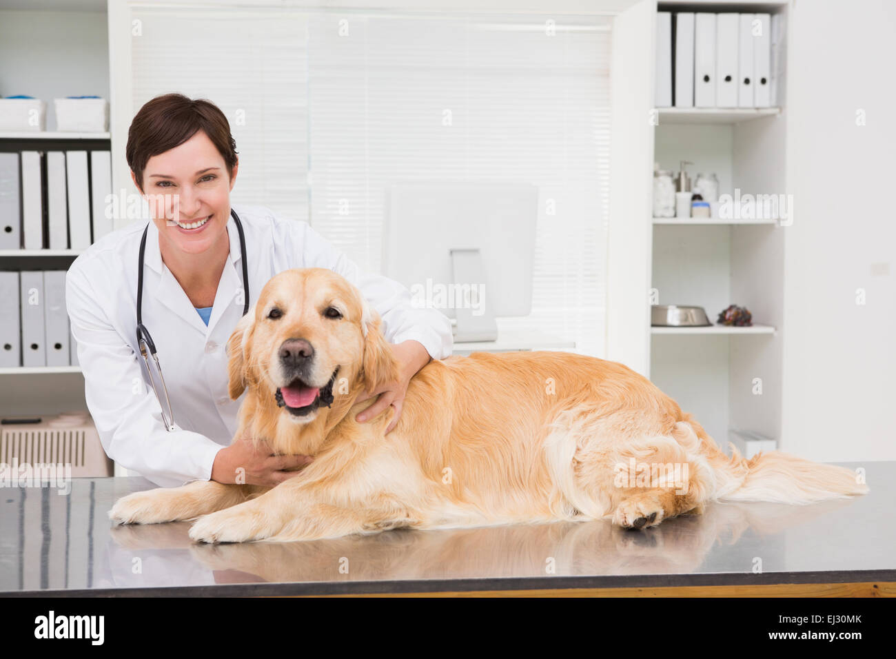 Smiling veterinarian examining a cute dog Stock Photo - Alamy