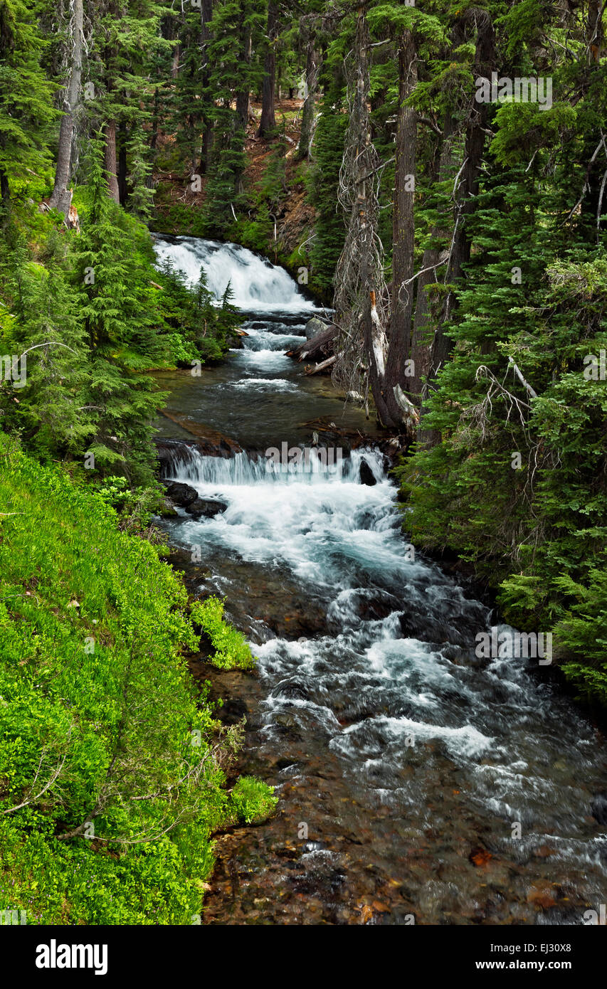 Sisters wilderness area in the oregon cascades hi-res stock photography ...