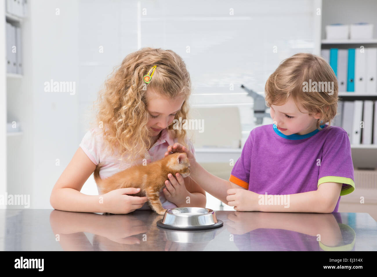 Petting cat hi-res stock photography and images - Alamy