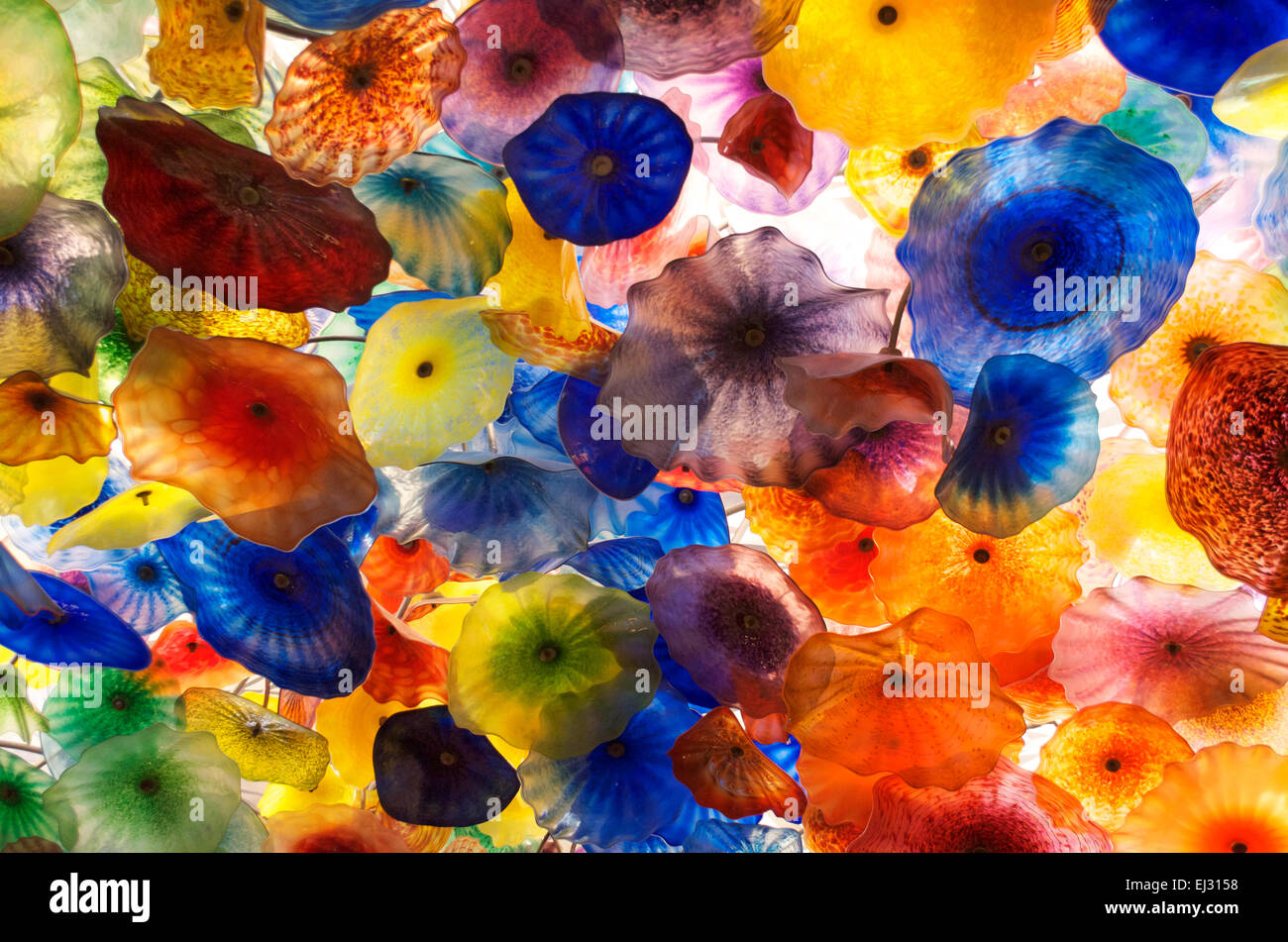 Floral Background of Plastic Multicolored Flowers Backlit Stock Photo ...