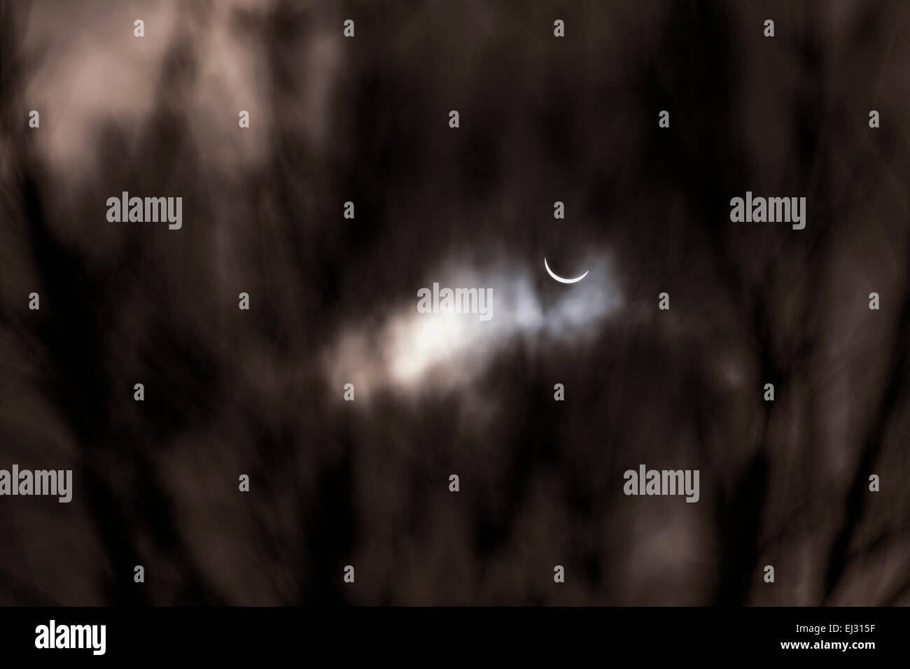 Edinburgh, Scotland. 20th March, 2015. Solar eclipse seen through trees ...