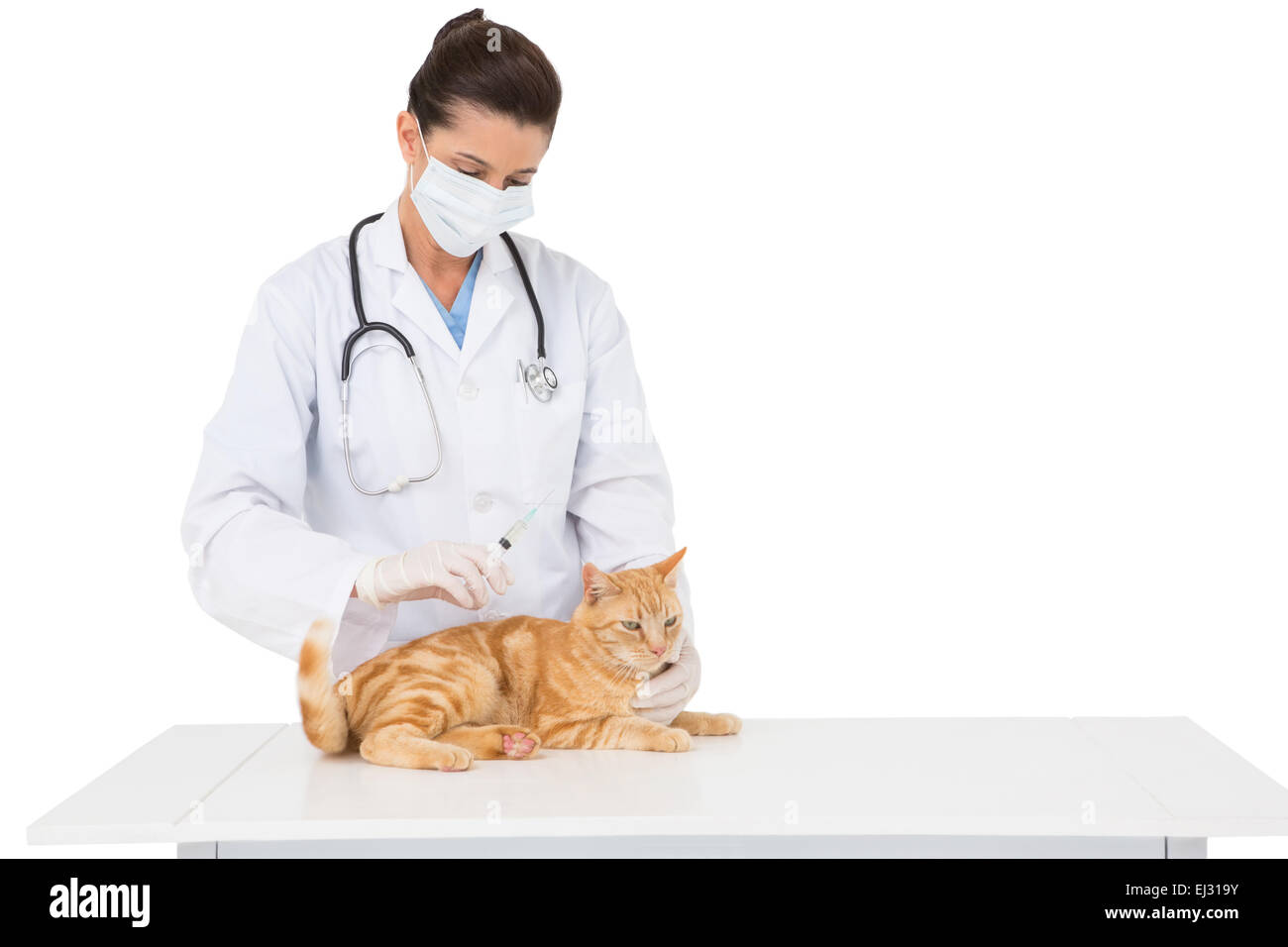 Cat with a mask hi-res stock photography and images - Alamy
