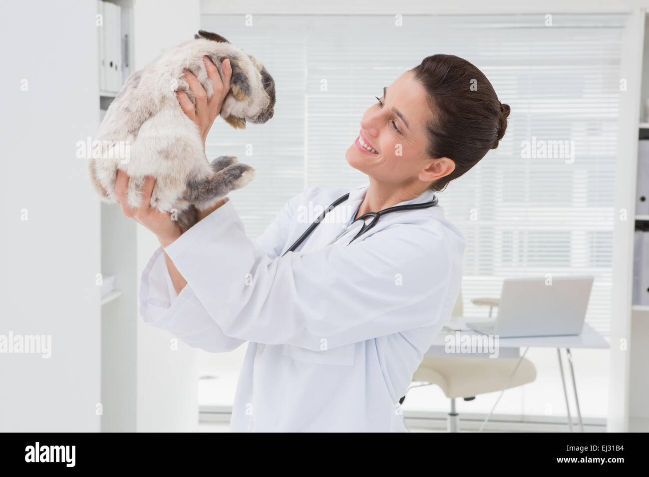 Smiling rabbit hi-res stock photography and images - Alamy