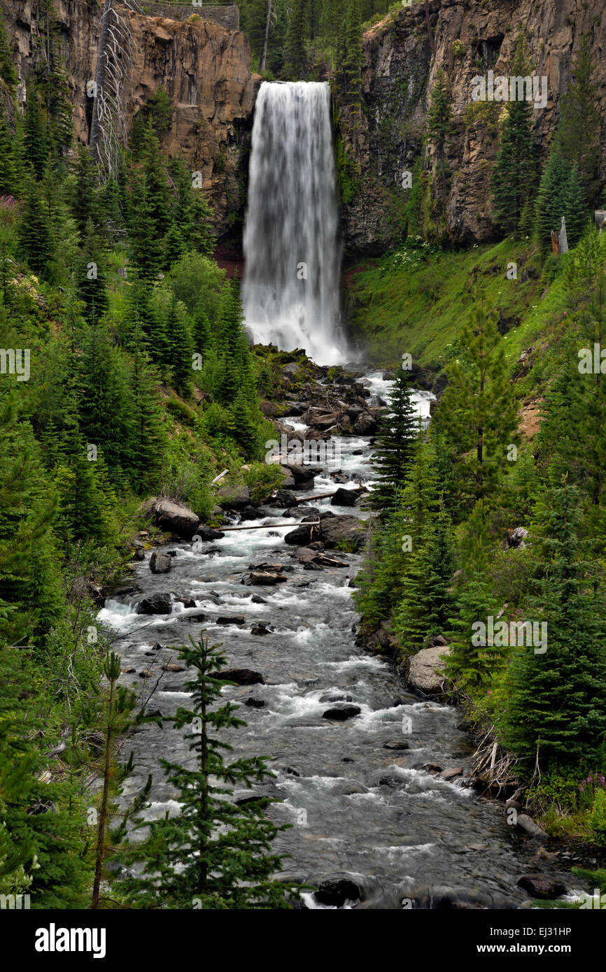 OR01768-00...OREGON - Tumalo Falls on the North Fork Bridge Creek in ...