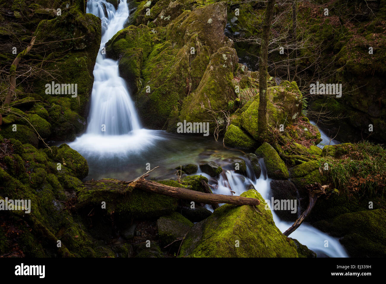 Stock Ghyll Force Waterfall in a beautiful lush green secluded valley ...
