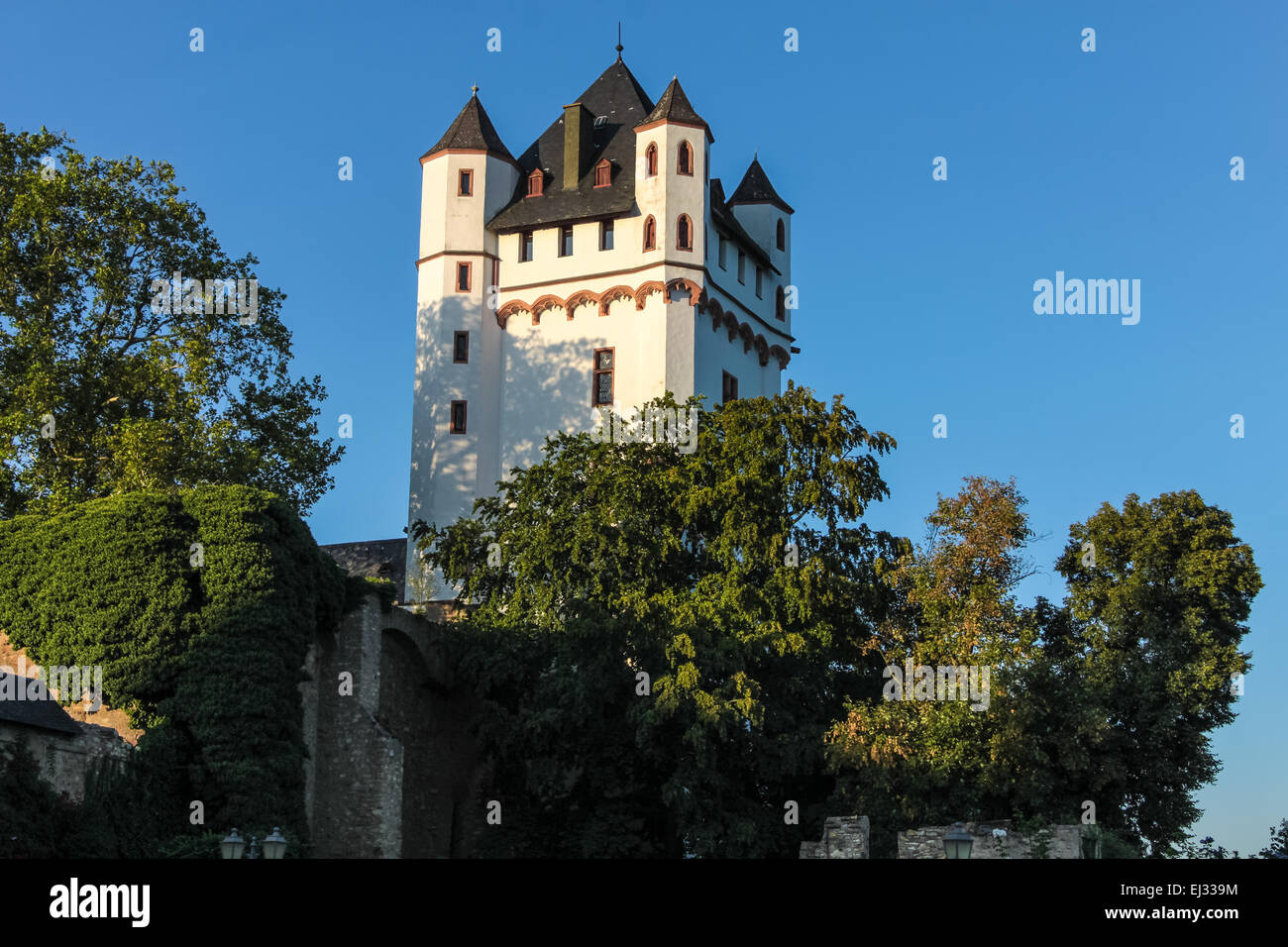Electoral Castle of Eltville, Rheingau, Hesse, Germany Stock Photo - Alamy