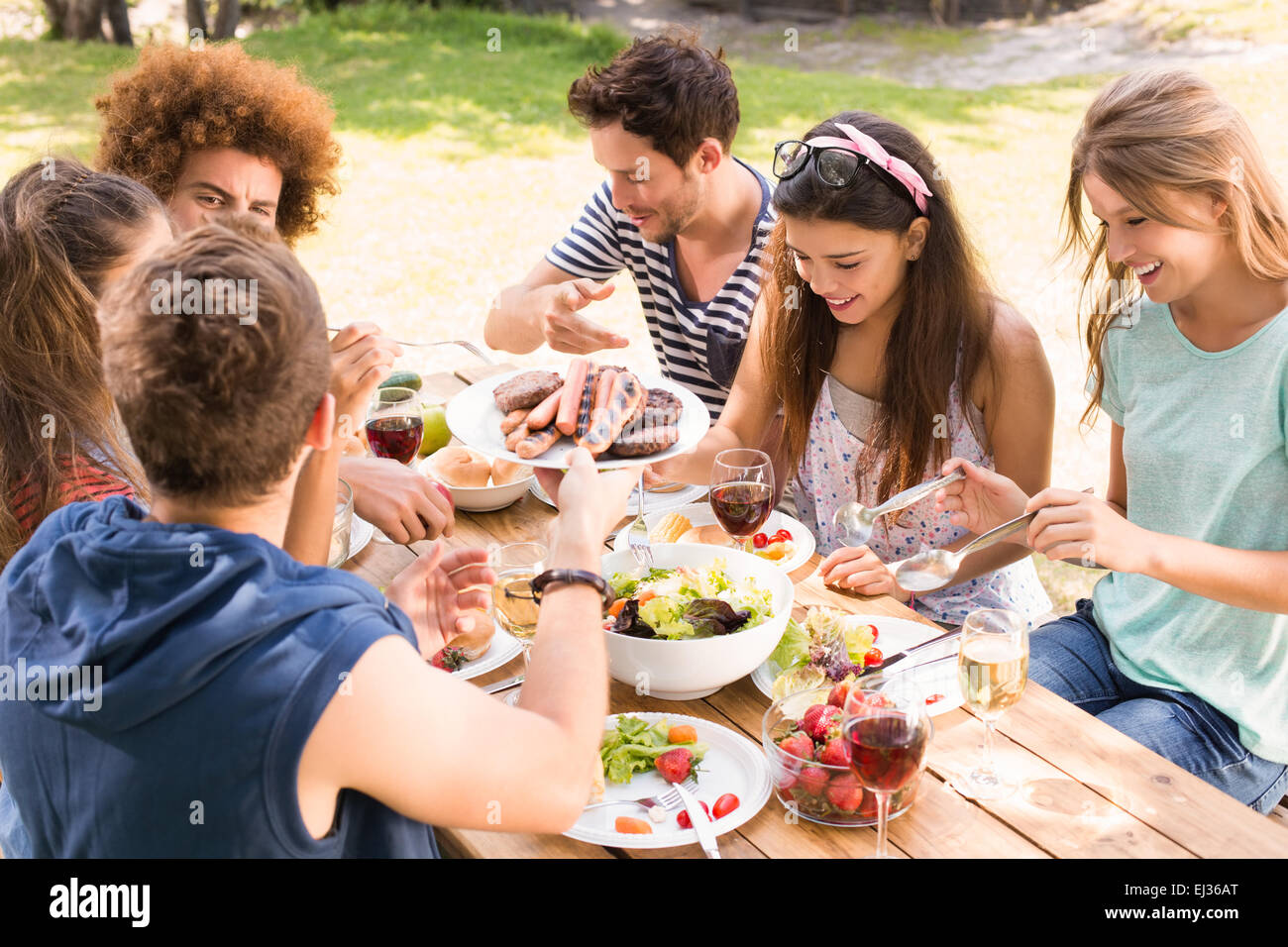 Happy friends in the park having lunch Stock Photo - Alamy