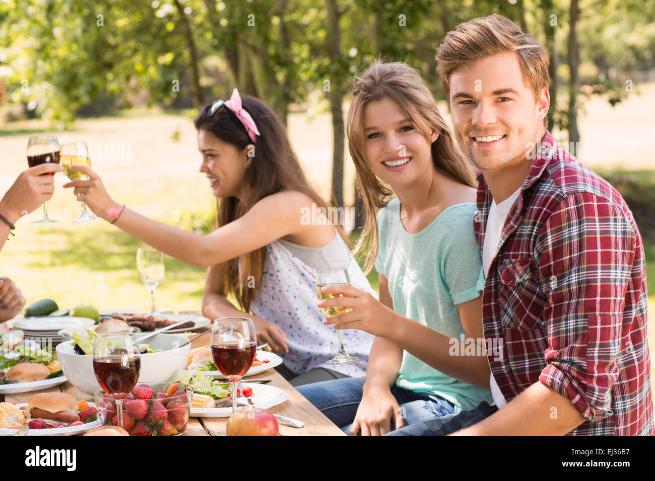 Happy friends in the park having lunch Stock Photo - Alamy