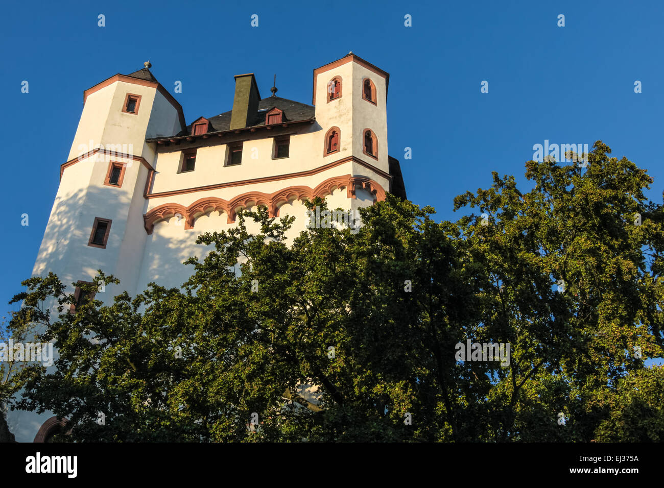 Electoral Castle of Eltville, Rheingau, Hesse, Germany Stock Photo - Alamy