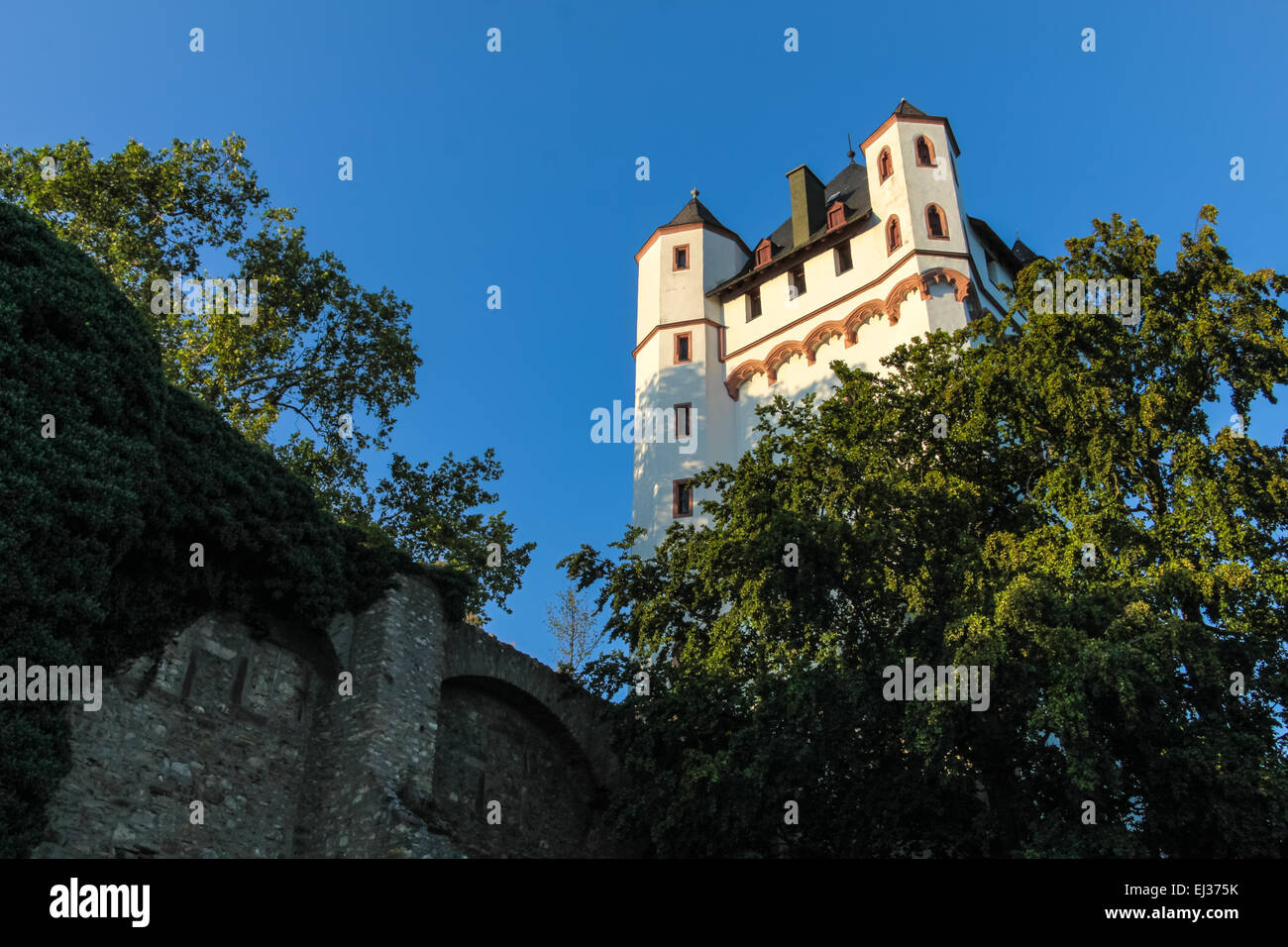 Electoral Castle of Eltville, Rheingau, Hesse, Germany Stock Photo - Alamy
