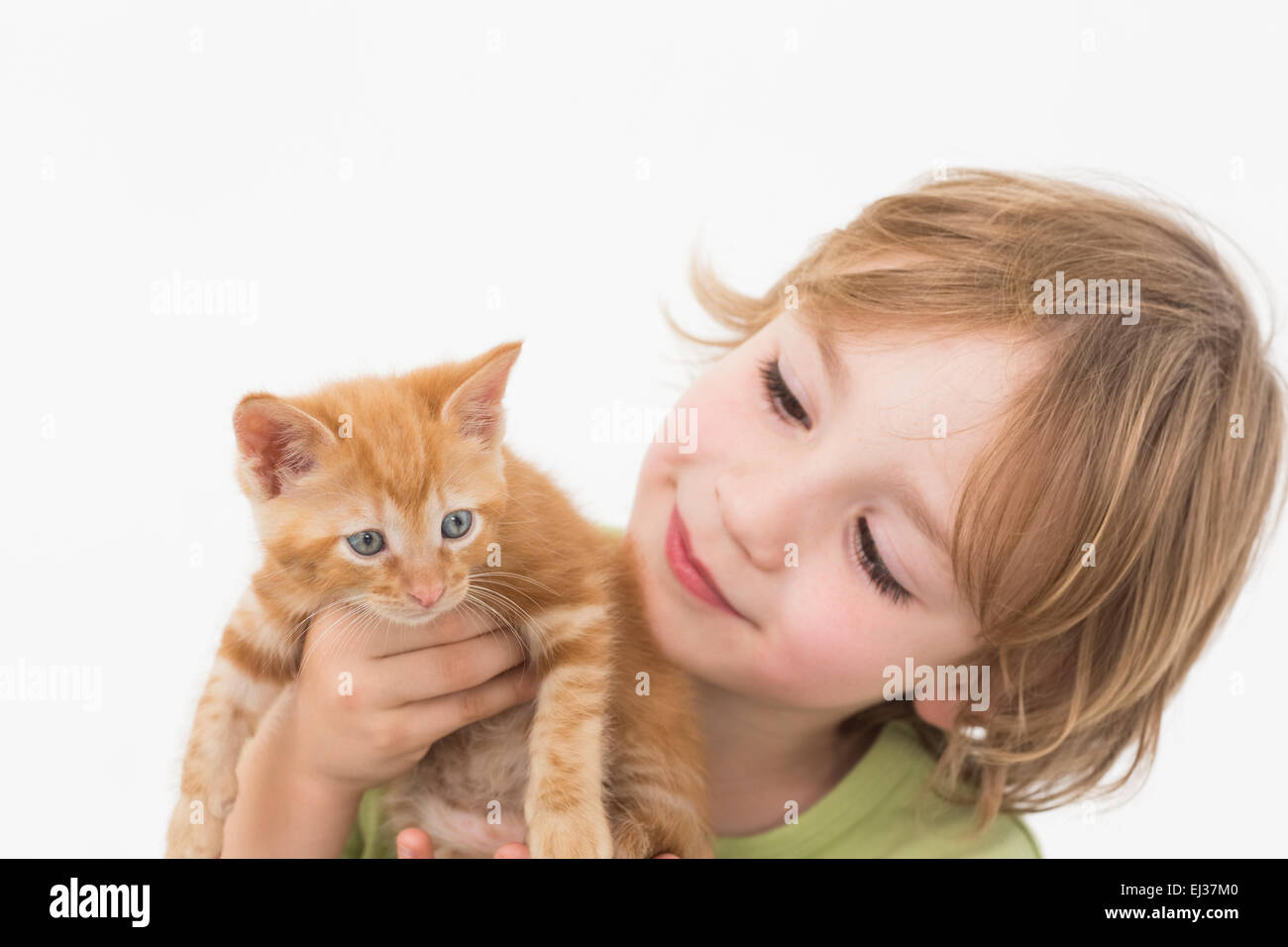 Child boy holding cat kitten hi-res stock photography and images - Alamy