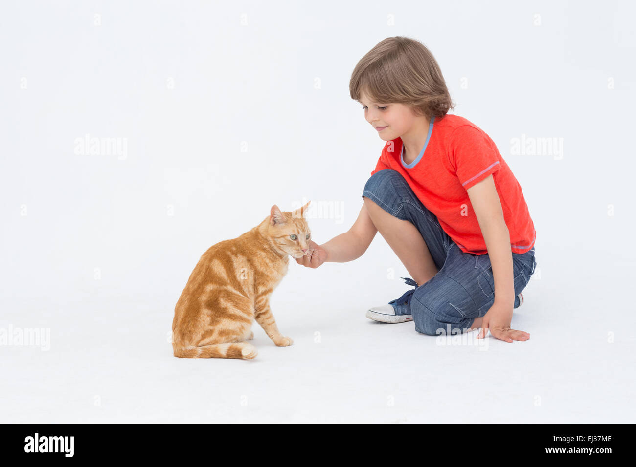 Cute boy touching cat on white background Stock Photo - Alamy