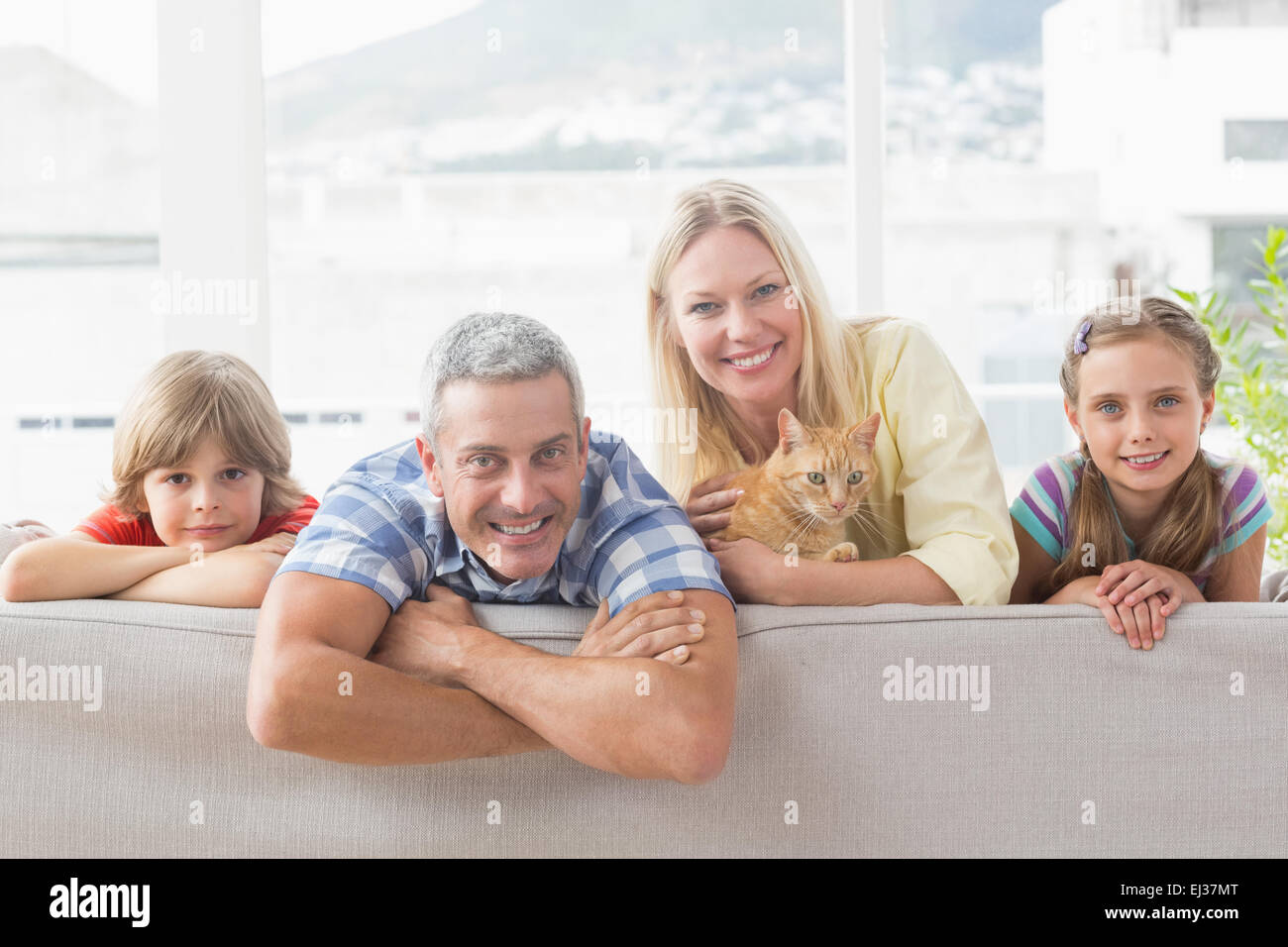 Family cat hi-res stock photography and images - Alamy