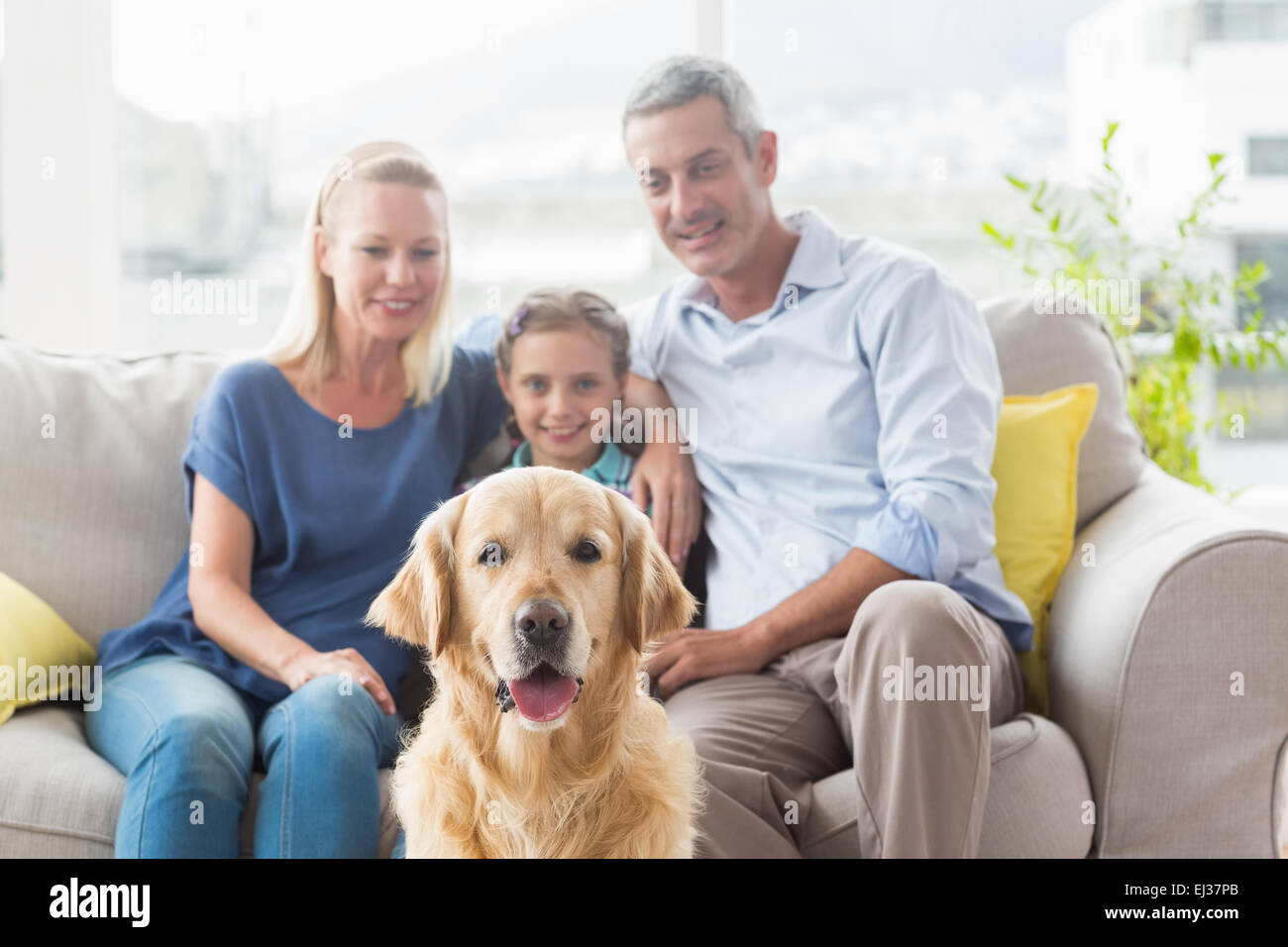 Woman two golden retriever hi-res stock photography and images - Alamy