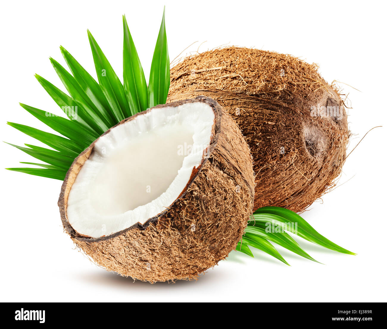 Coconut leaf hi-res stock photography and images - Alamy