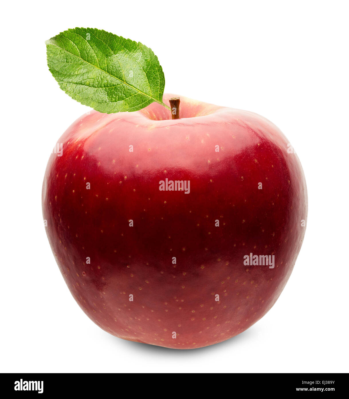 Red Apple White Background