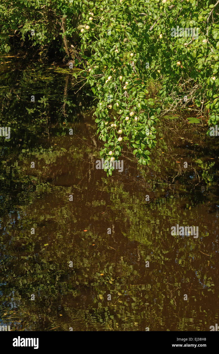 Shadow over water river waves hi-res stock photography and images - Alamy