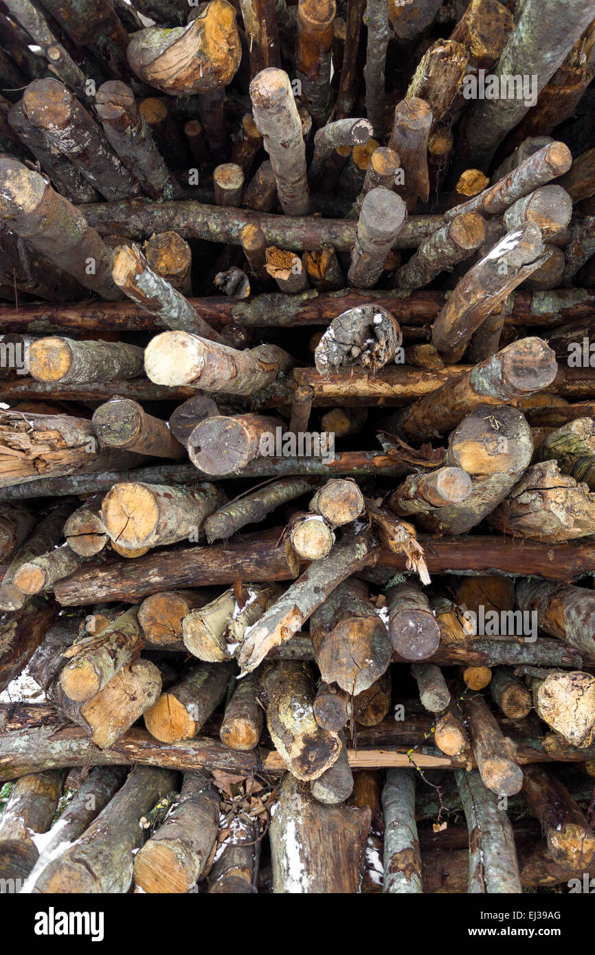 Closeup texture of chopped logs lying in stack Stock Photo - Alamy