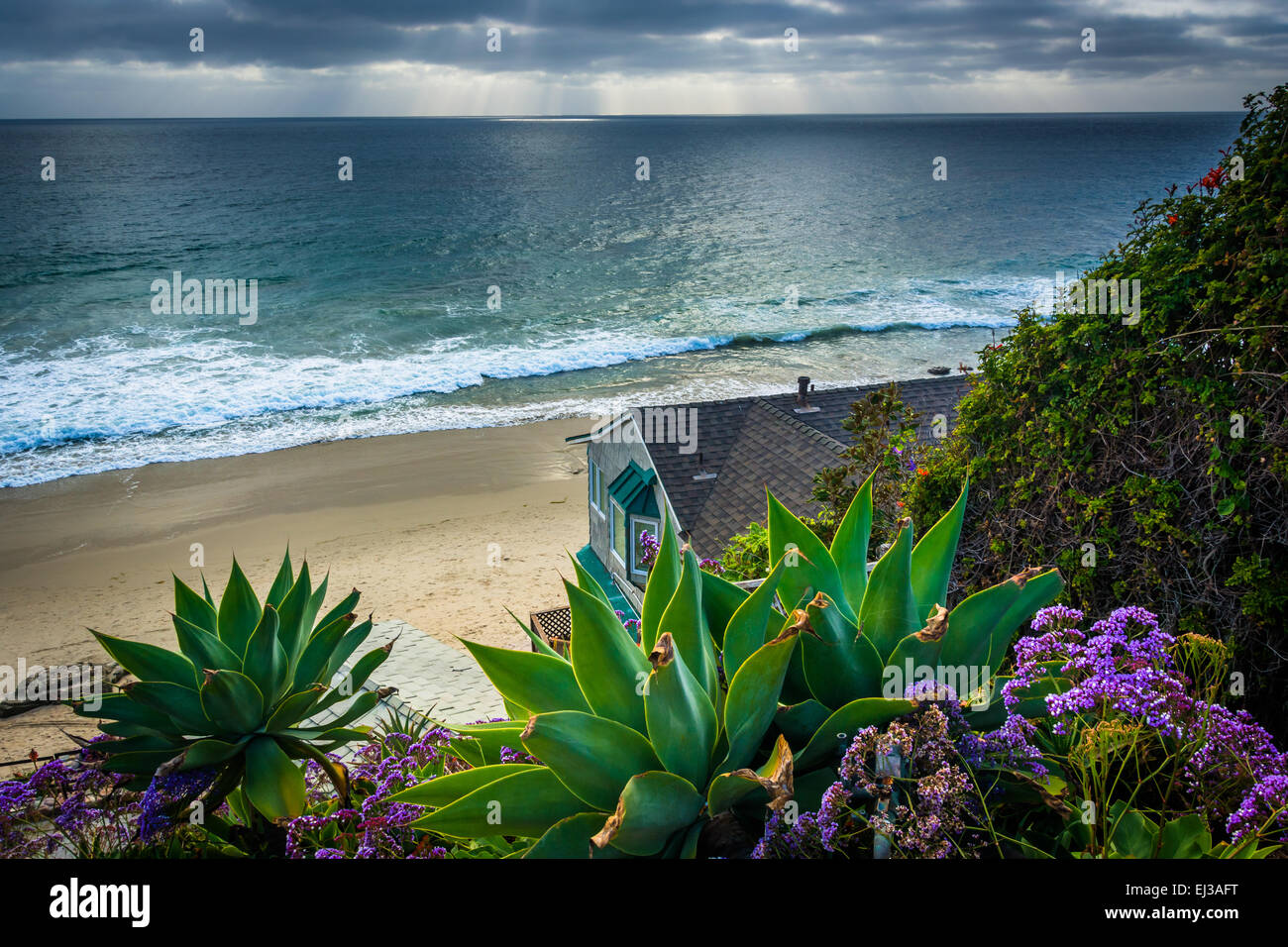 Garden and house overlooking the Pacific Ocean, in Laguna Beach ...