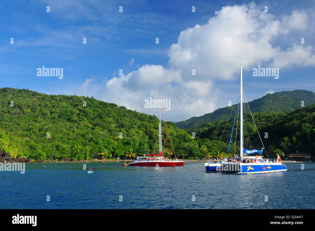 FORT-DE-FRANCE, MARTINIQUE: Tourists sail in luxurious catamaran across ...