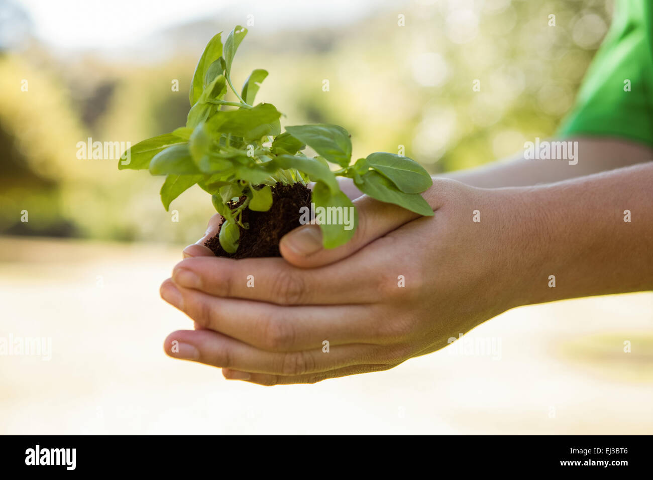 Environmental activist showing a plant Stock Photo - Alamy