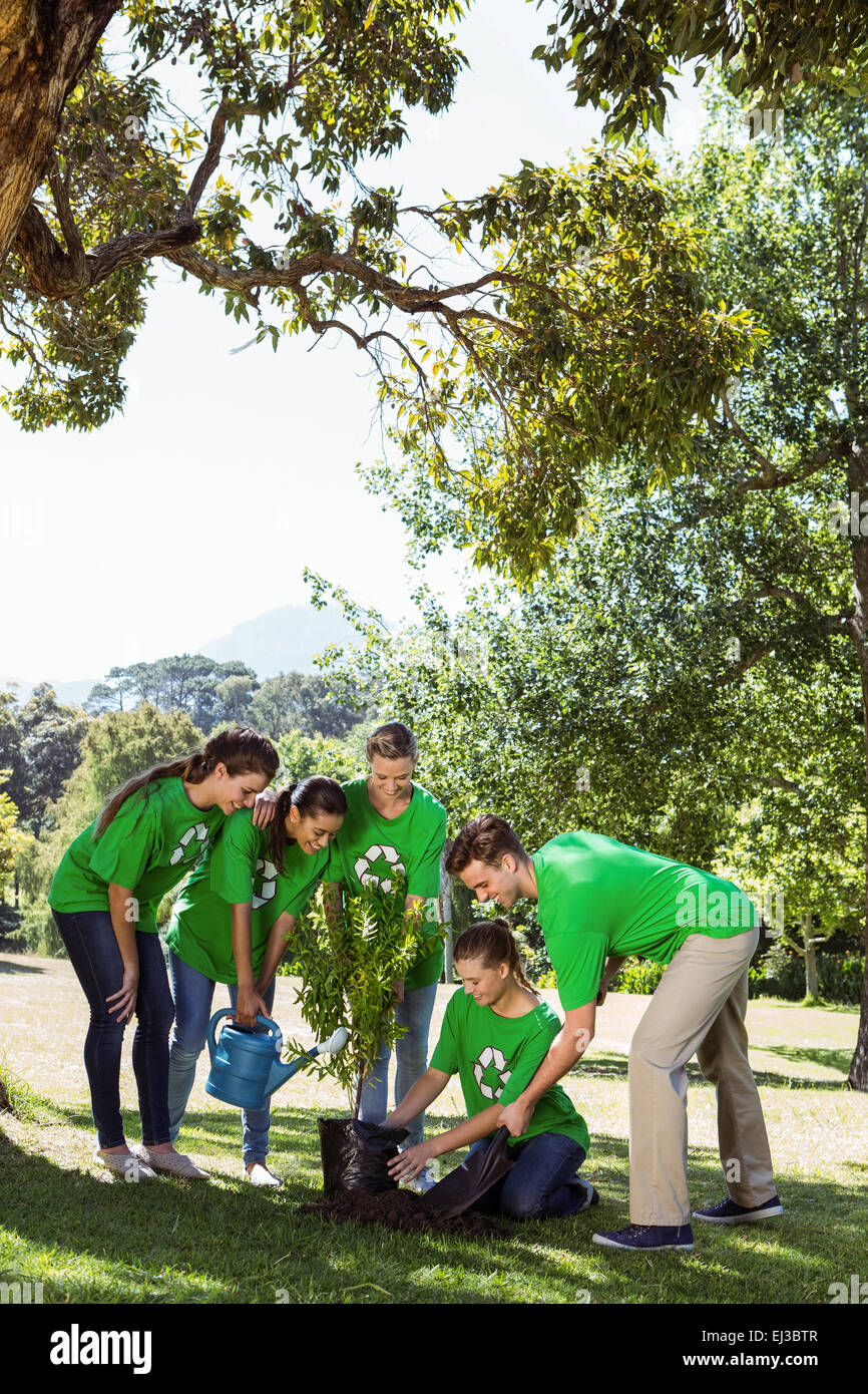 Environmental activists planting a tree in the park Stock Photo - Alamy