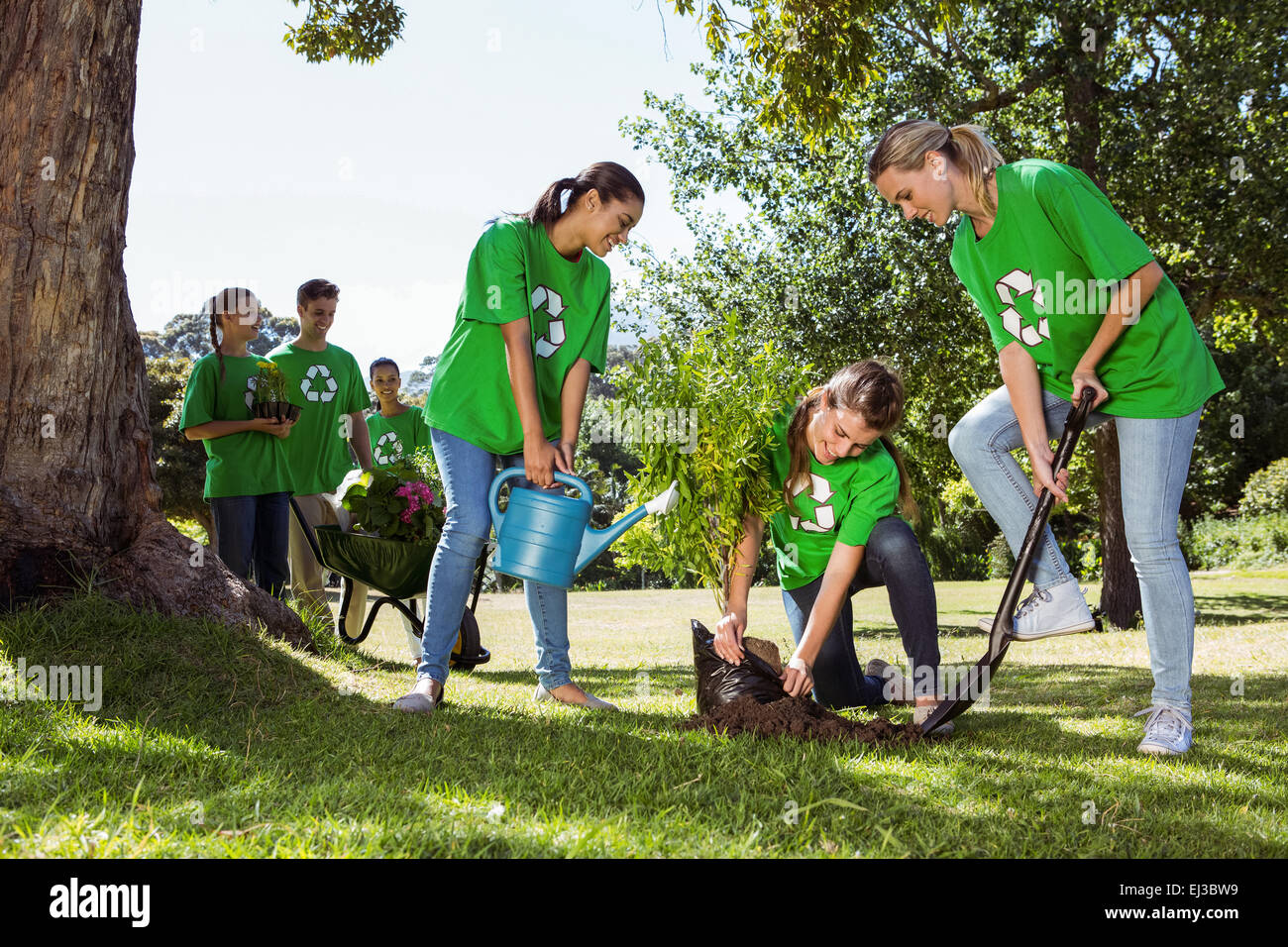 Environmental activists planting a tree in the park Stock Photo - Alamy
