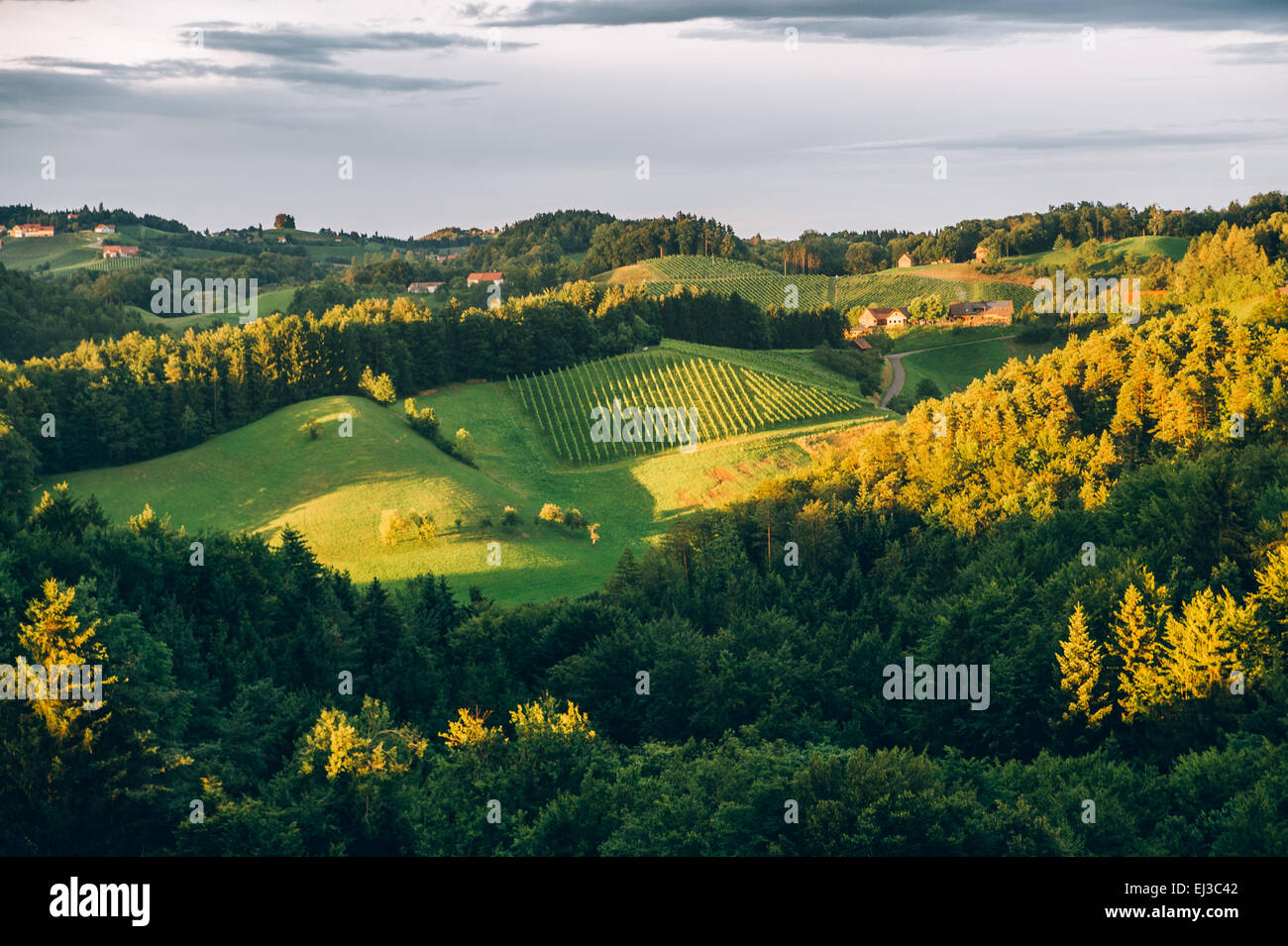 Summer Landscape in Southern Styria Stock Photo - Alamy